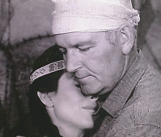 Dana Wynter - actress, writer - biography, photo, best movies and TV shows