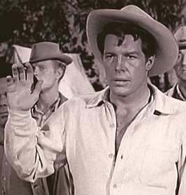 Robert Horton - actor - biography, photo, best movies and TV shows