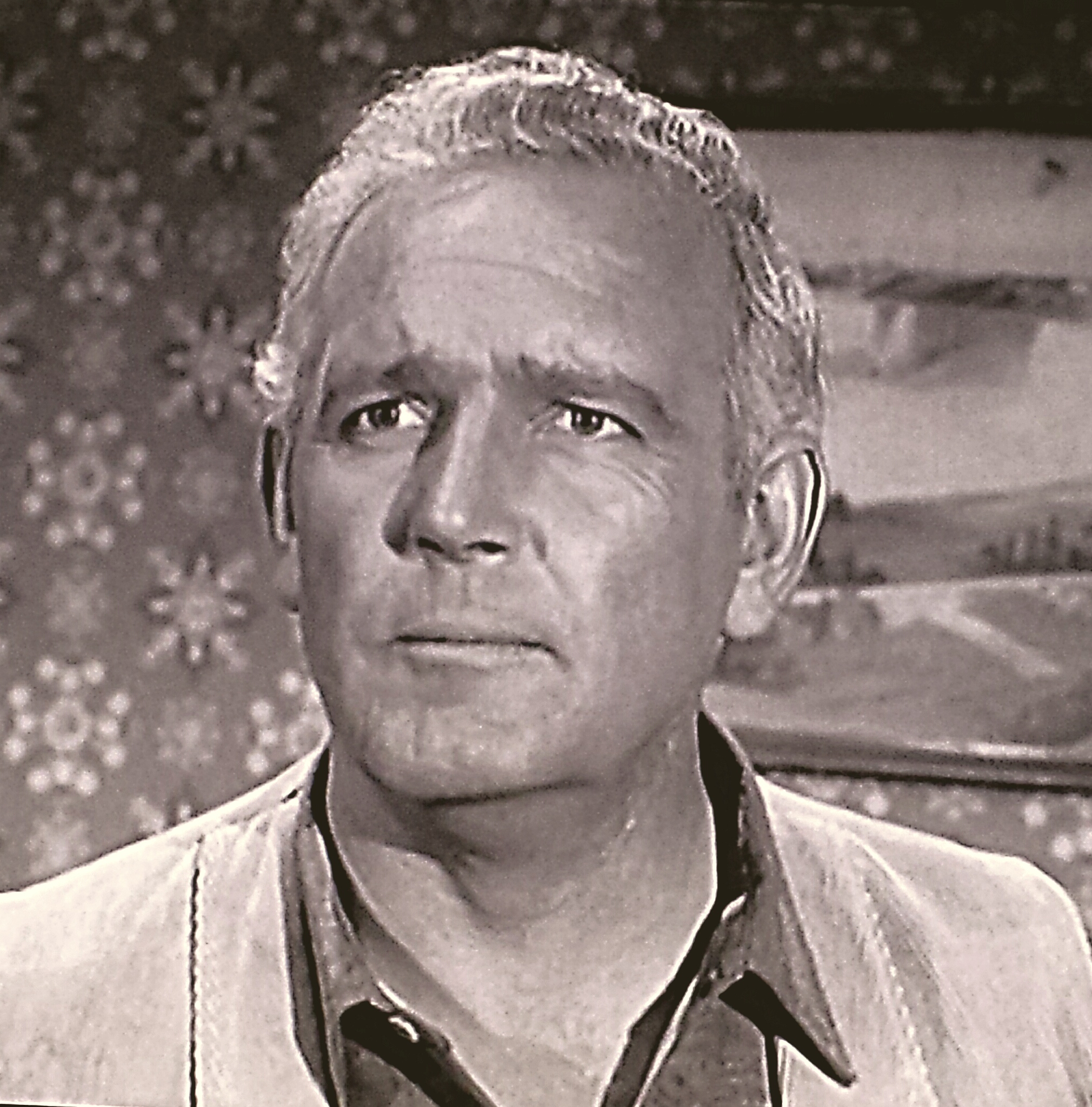 Terry Wilson - actor, writer - biography, photo, best movies and TV shows