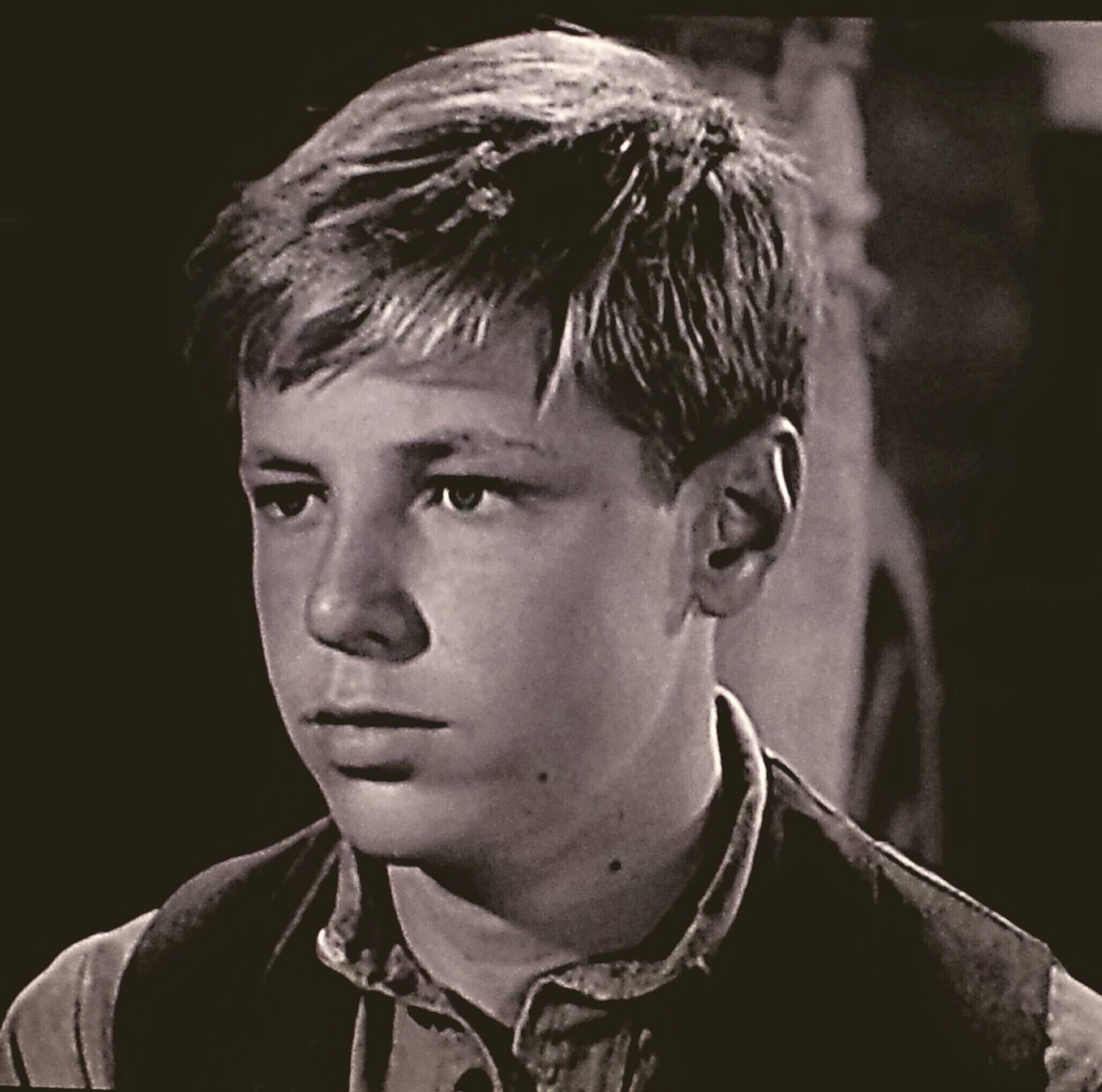 David Ladd - actor, producer - biography, photo, best movies and TV shows