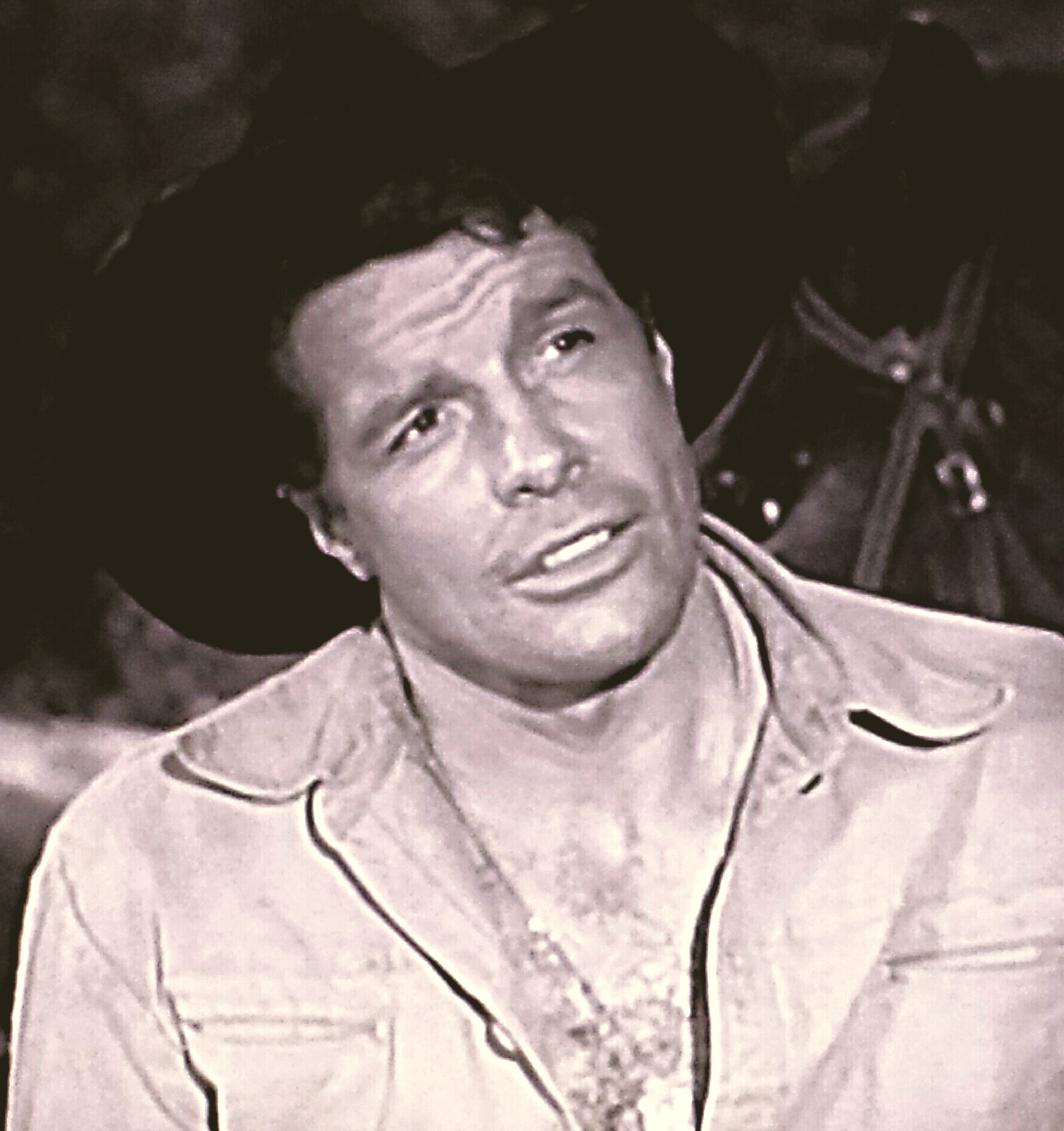 Robert Horton - actor - biography, photo, best movies and TV shows