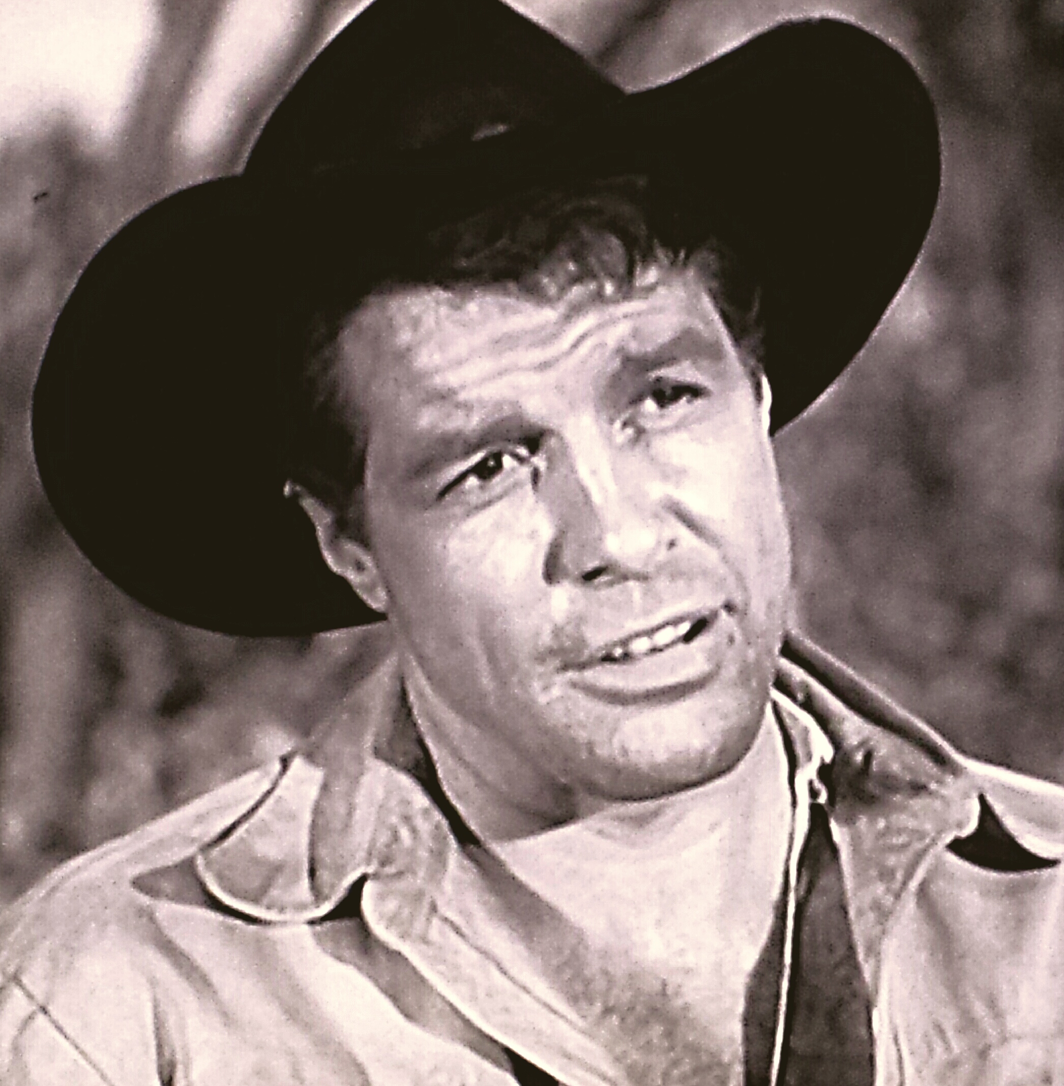 Robert Horton - actor - biography, photo, best movies and TV shows
