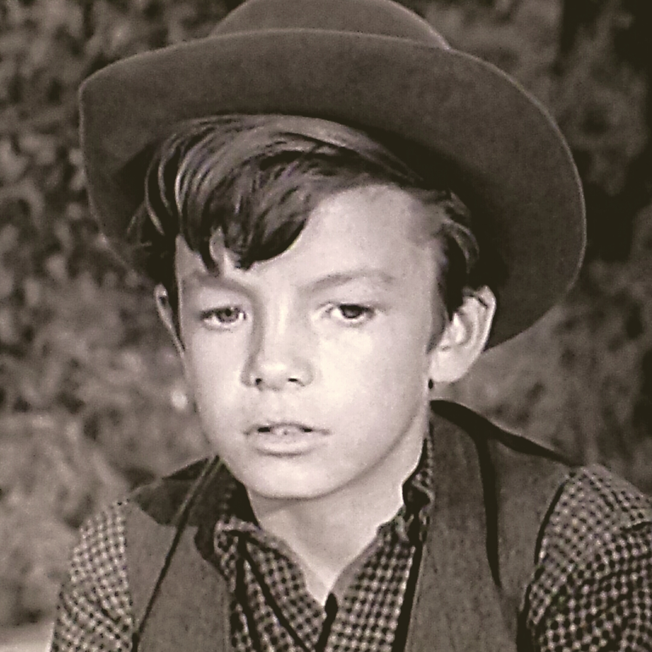 Roger Mobley - actor - biography, photo, best movies and TV shows