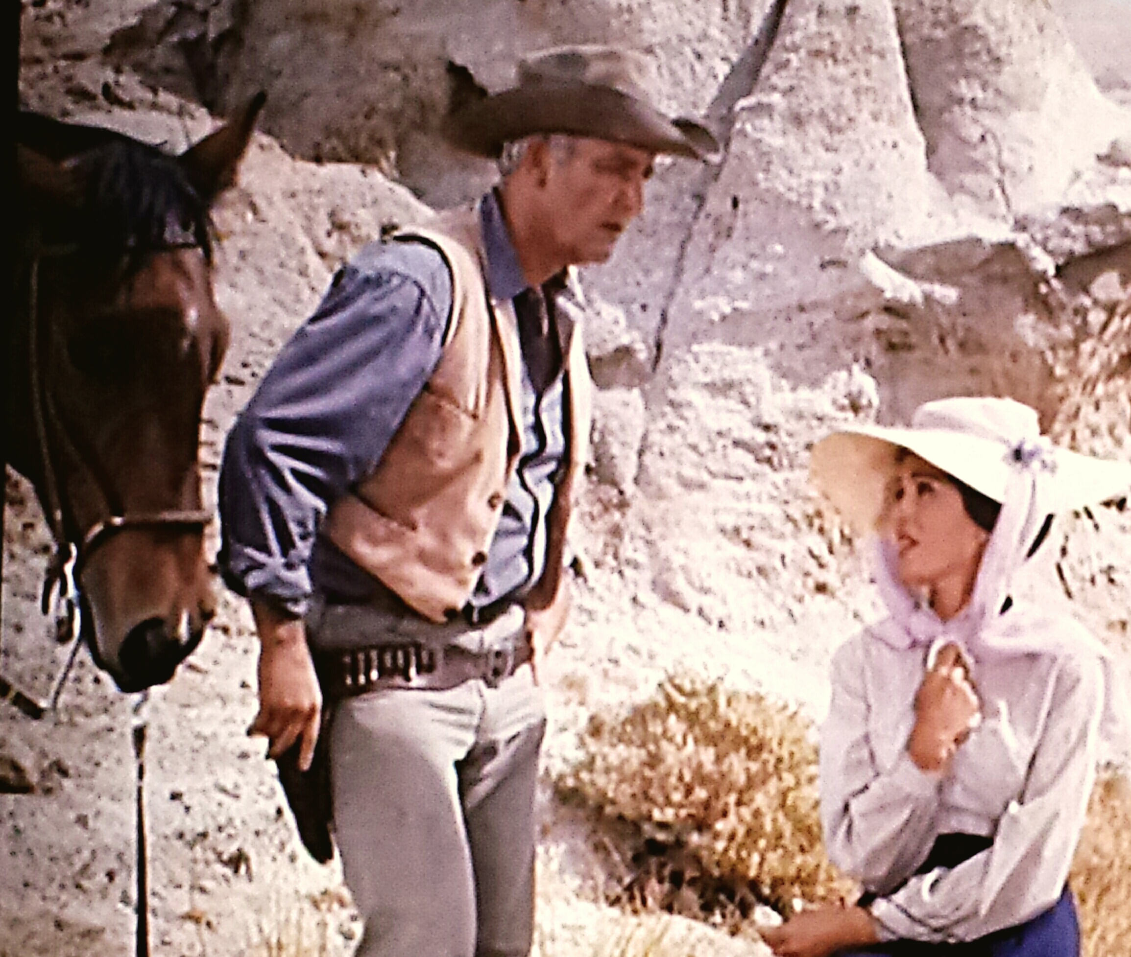 Dana Wynter - actress, writer - biography, photo, best movies and TV shows