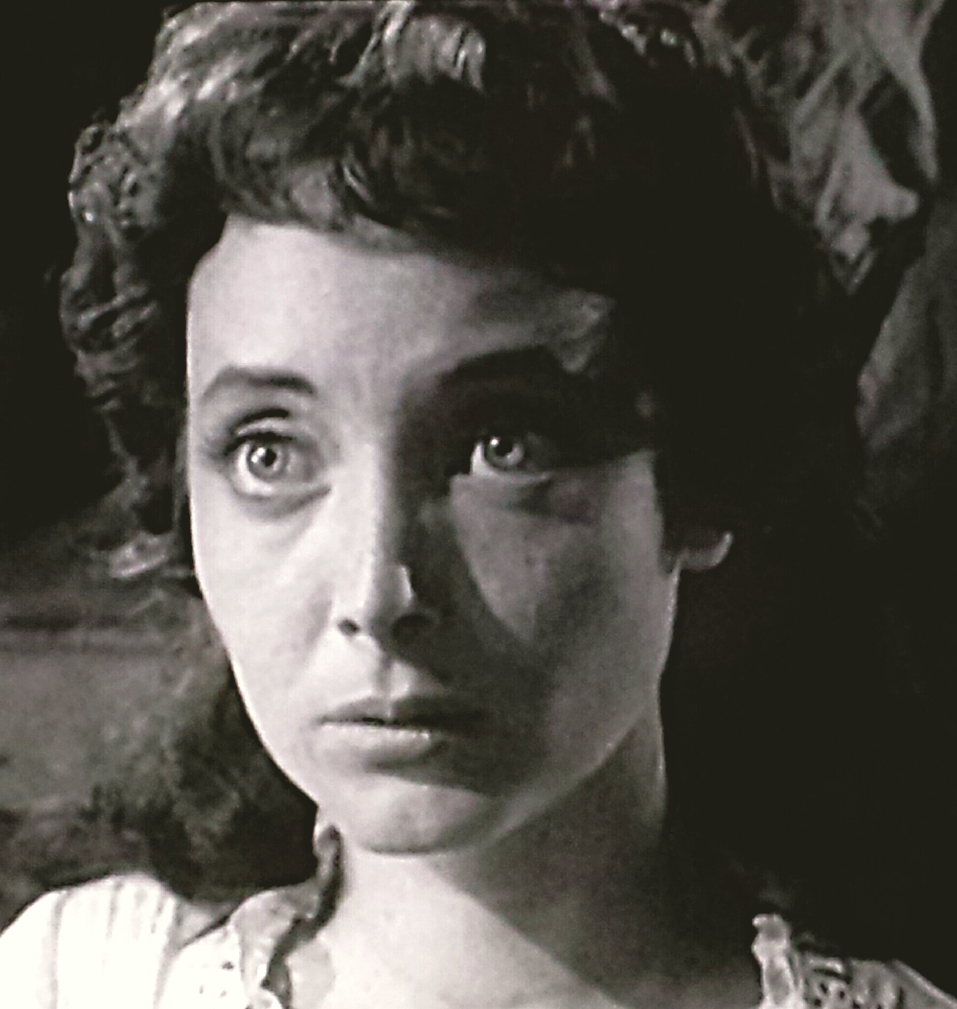 Carolyn Jones - actress - biography, photo, best movies and TV shows
