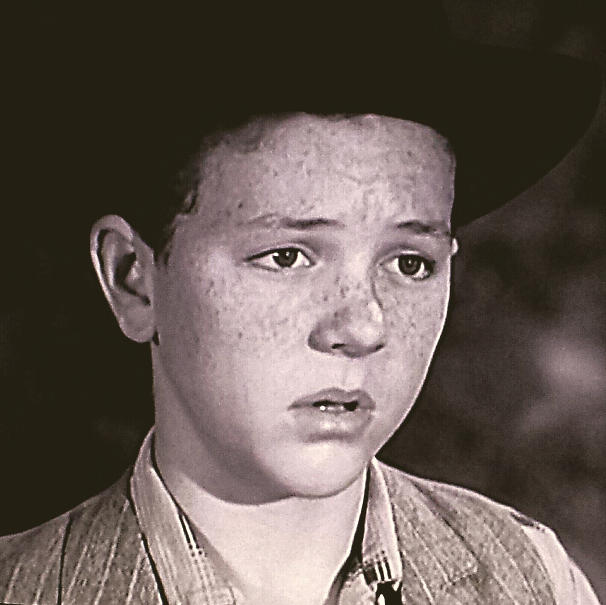 Richard Eyer - actor - biography, photo, best movies and TV shows