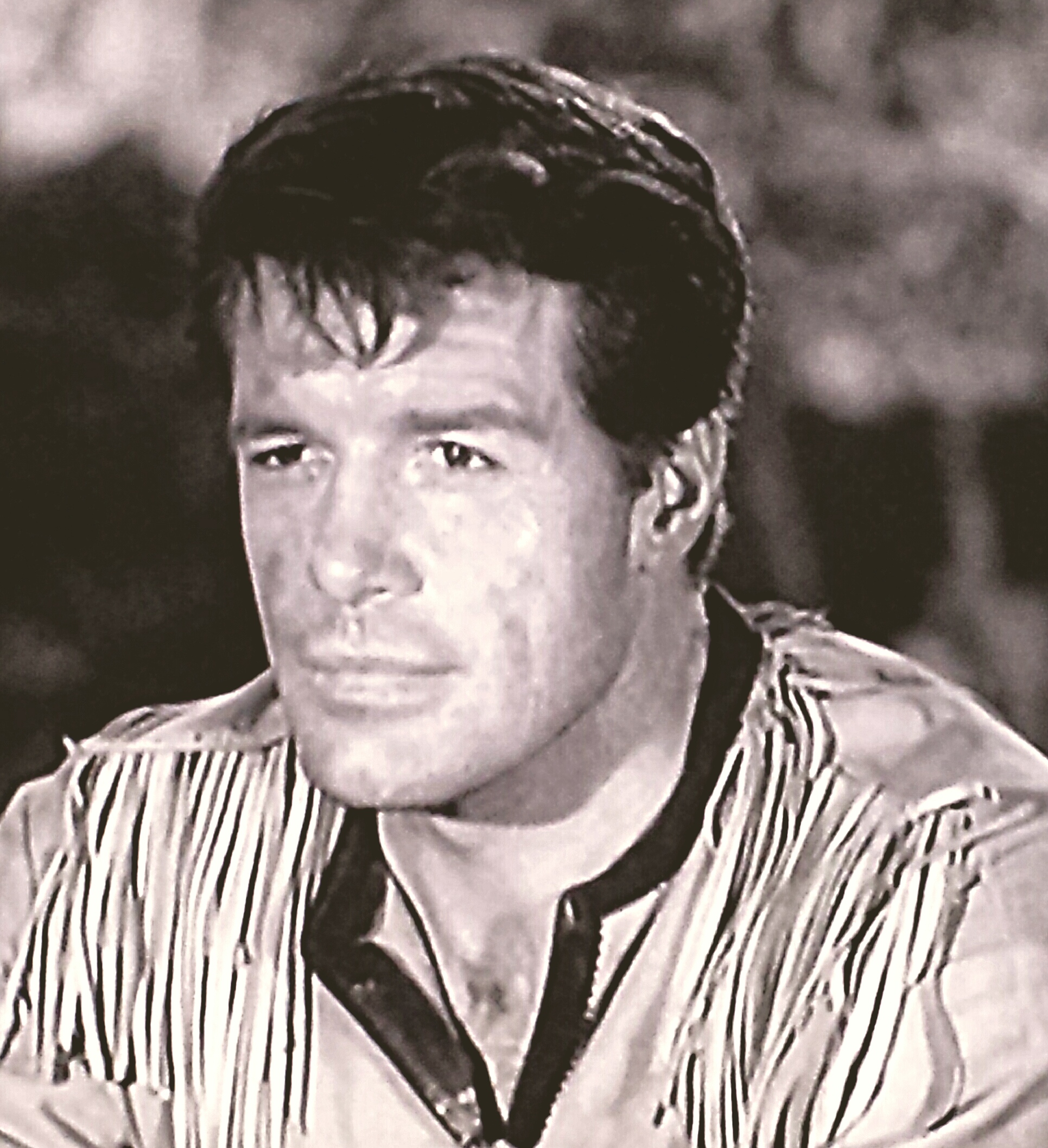 Robert Horton - actor - biography, photo, best movies and TV shows