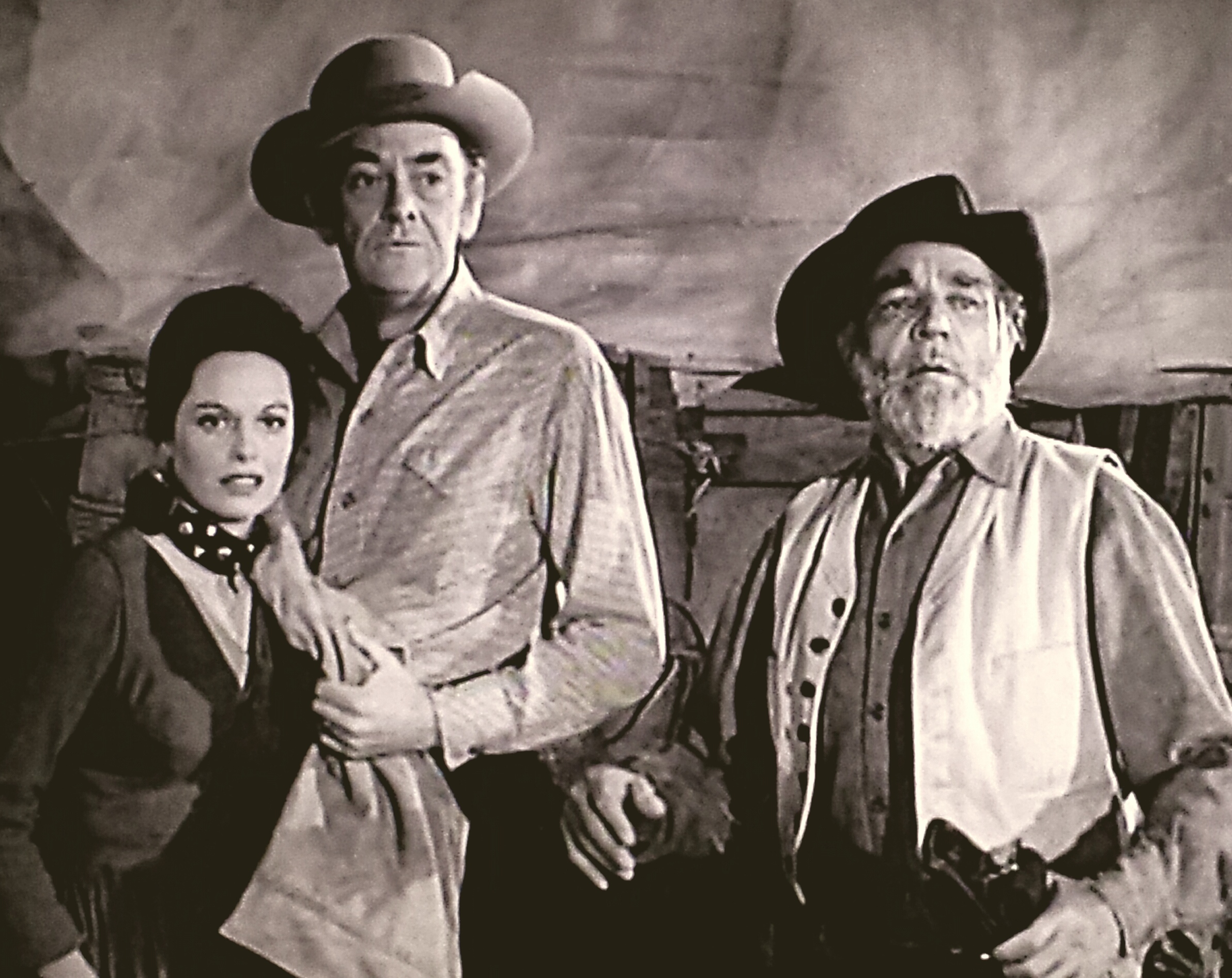 Joyce Taylor - actress - biography, photo, best movies and TV shows