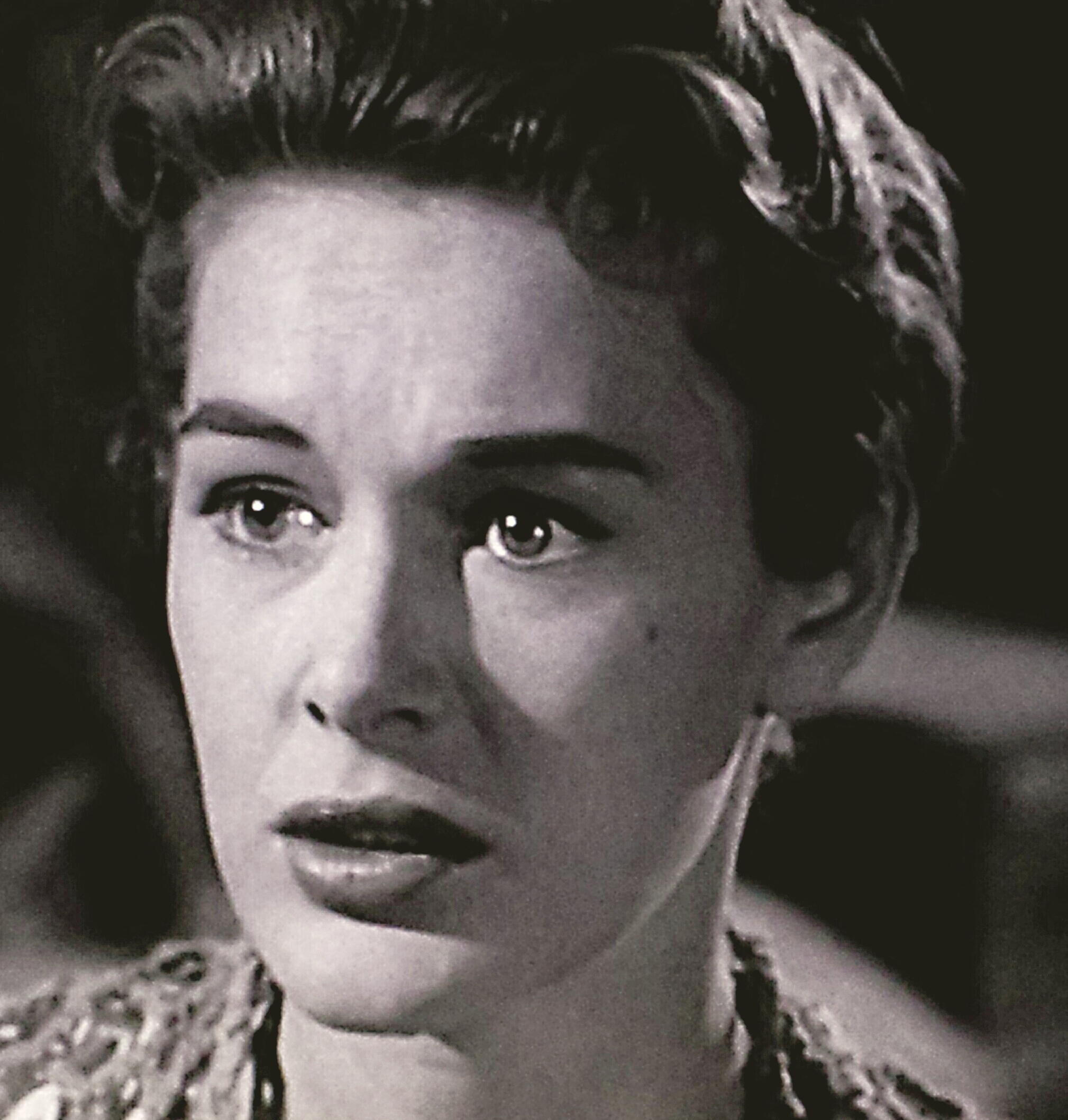 Diane Brewster - actress - biography, photo, best movies and TV shows