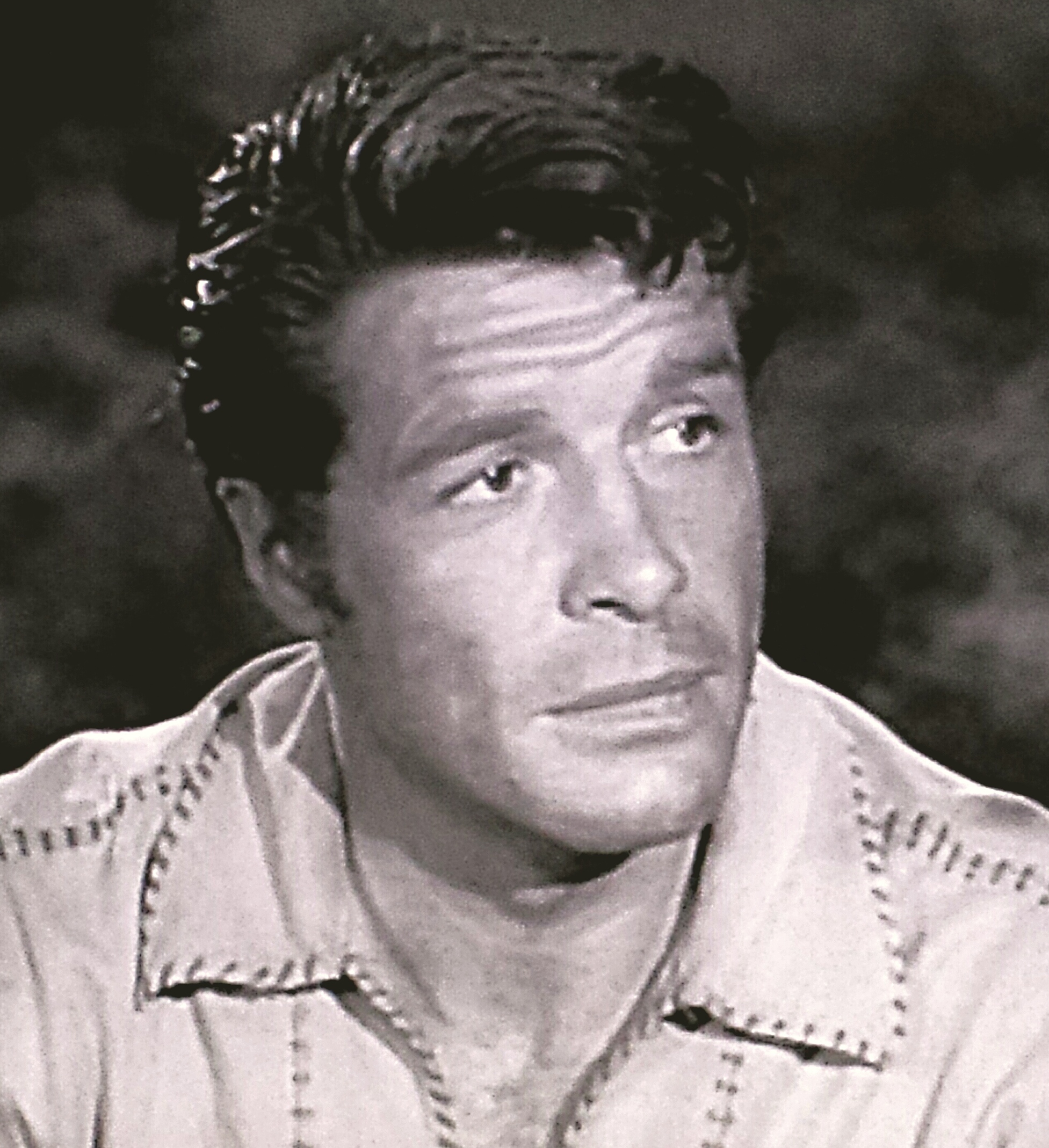 Robert Horton - actor - biography, photo, best movies and TV shows