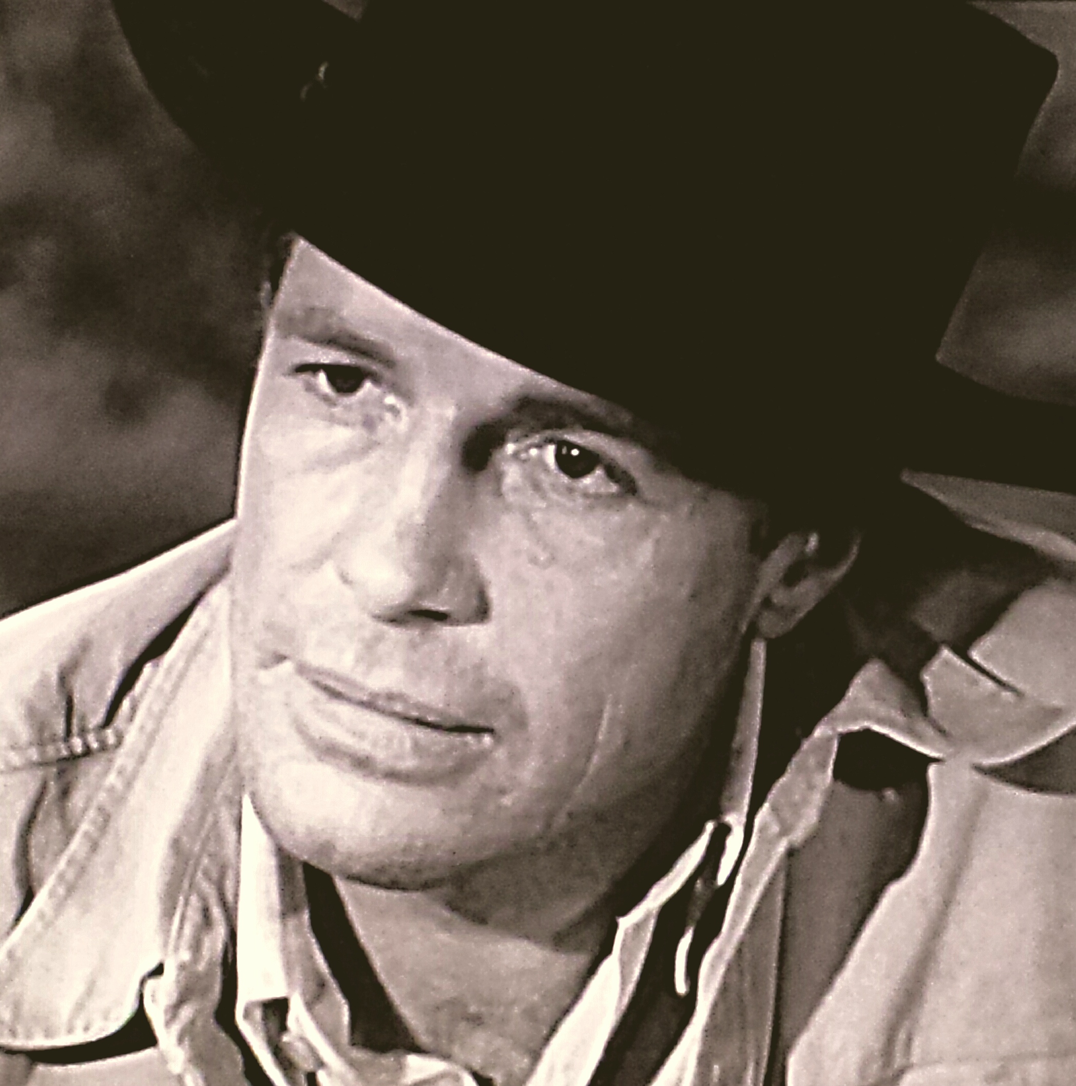 Robert Horton - actor - biography, photo, best movies and TV shows