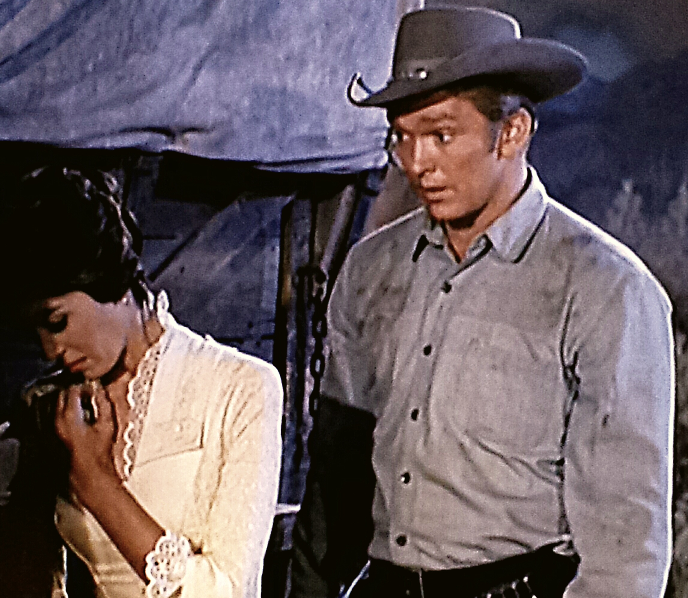 Dana Wynter - actress, writer - biography, photo, best movies and TV shows