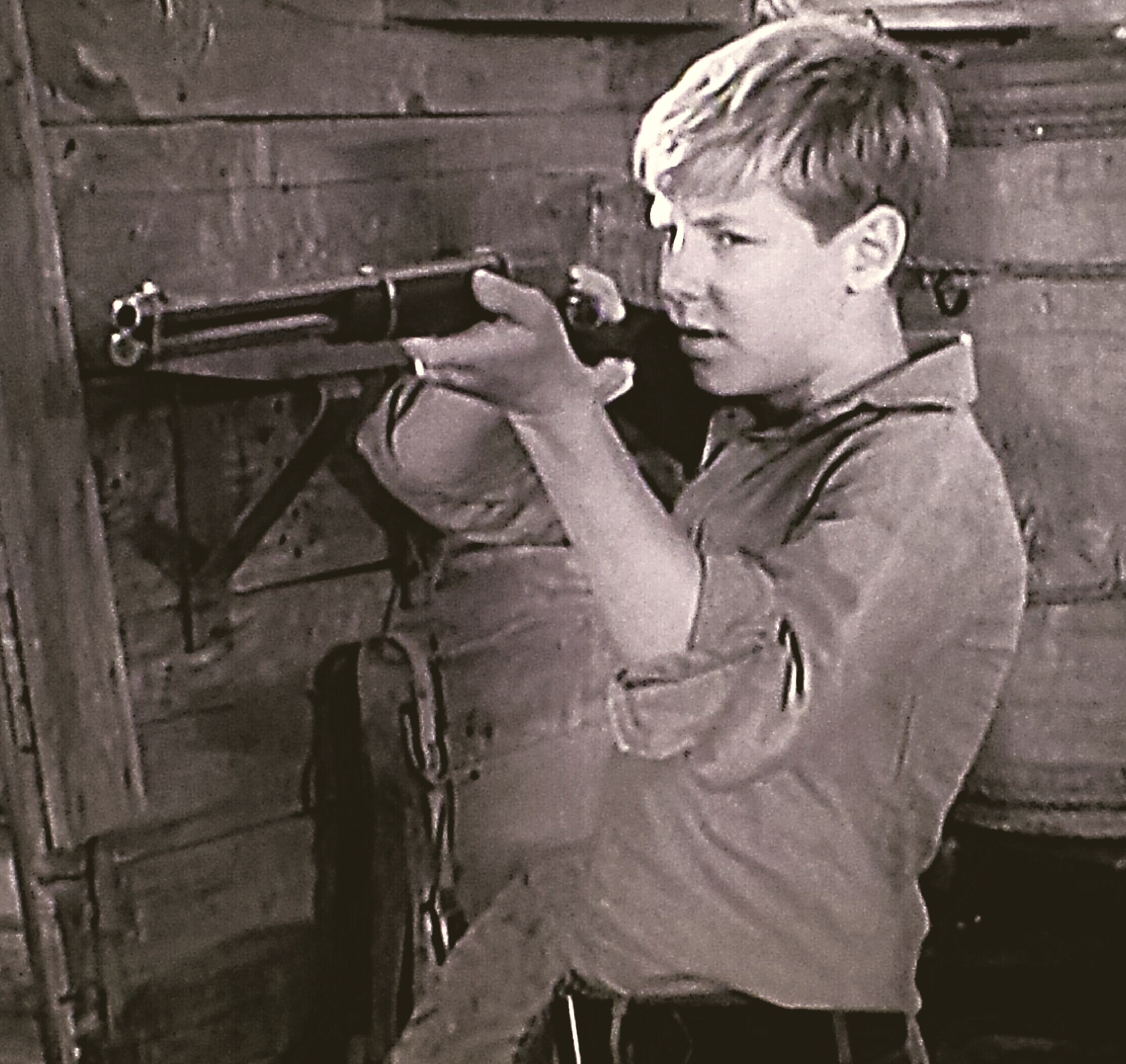 David Ladd - actor, producer - biography, photo, best movies and TV shows