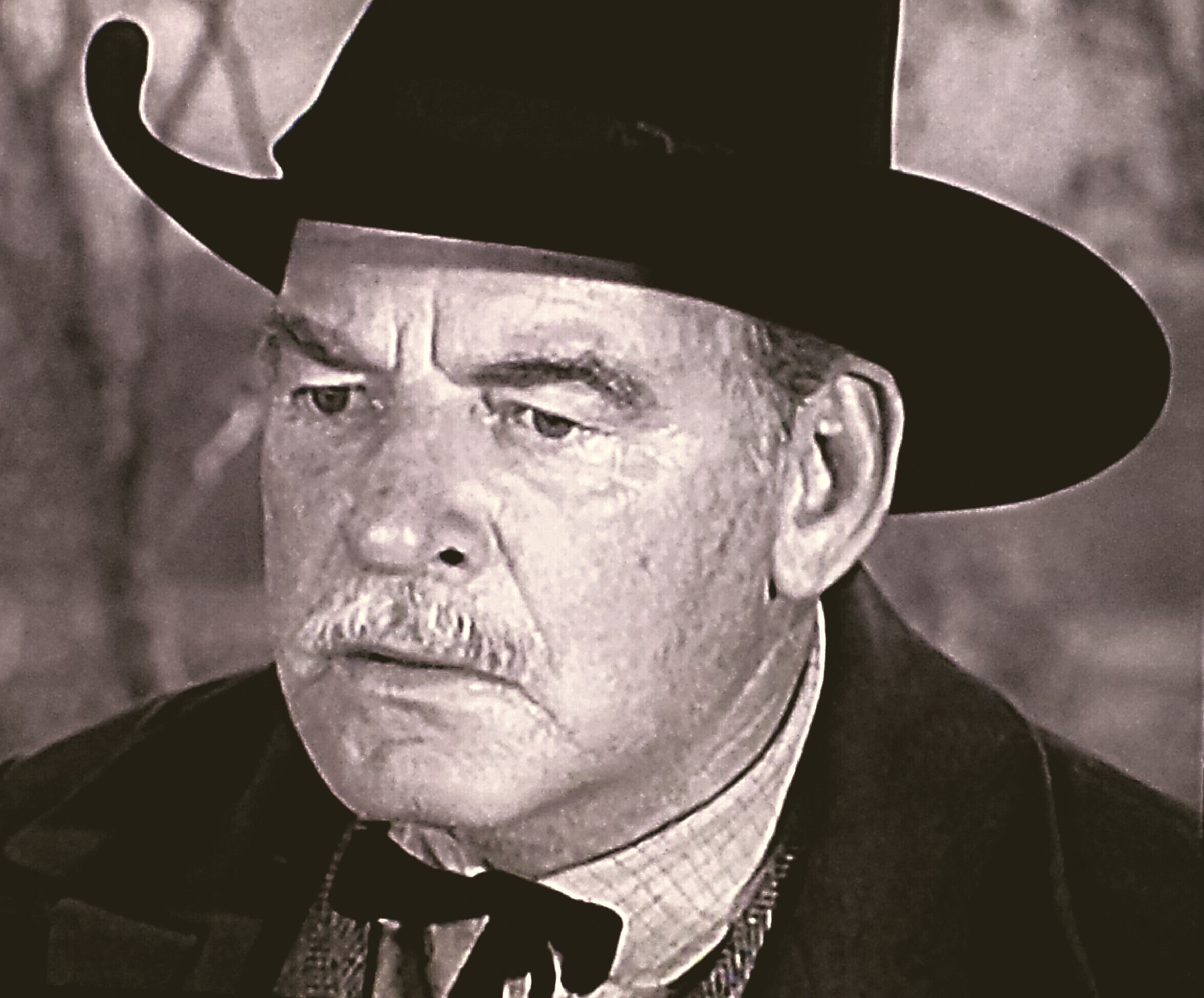 Ray Teal - actor - biography, photo, best movies and TV shows