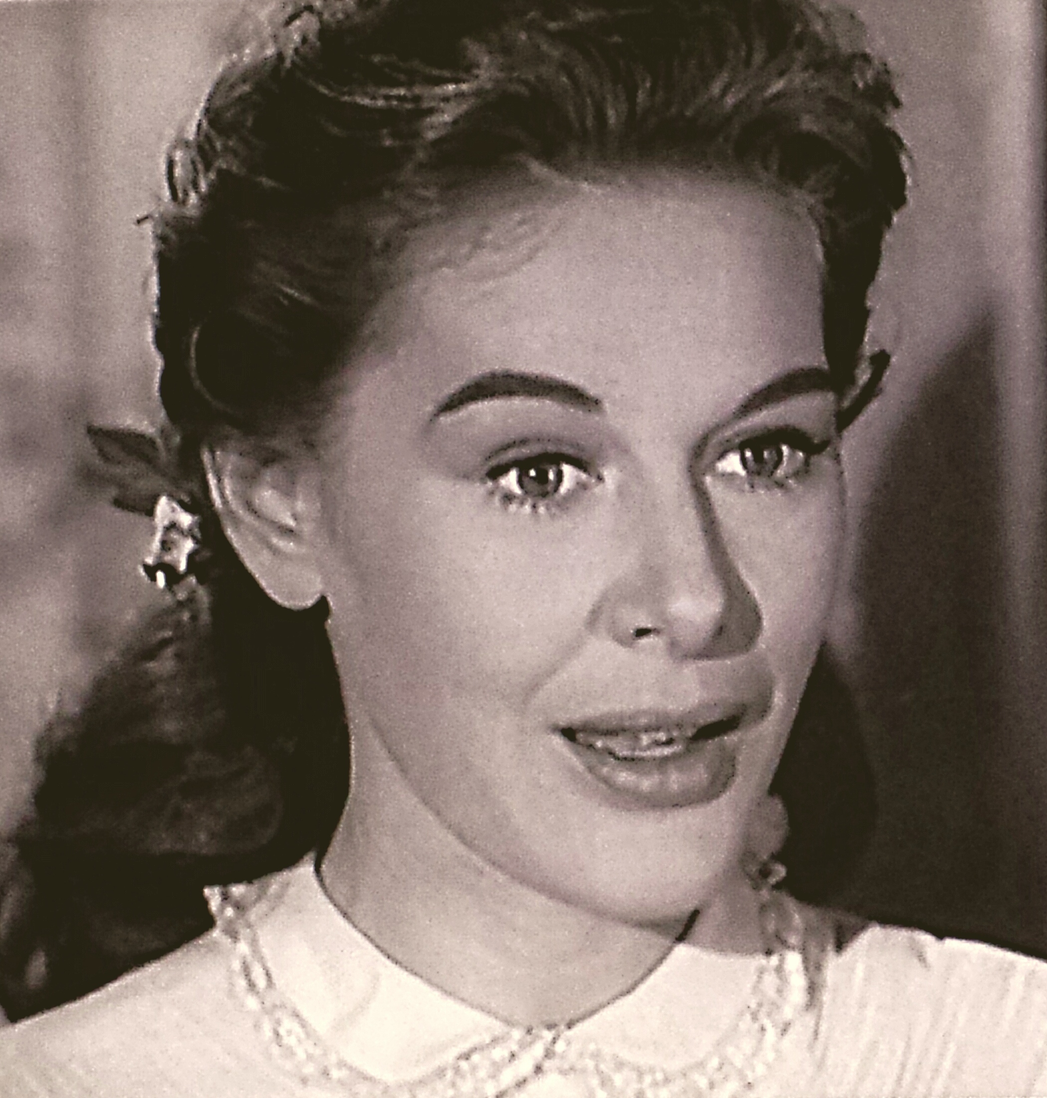 Diane Brewster - actress - biography, photo, best movies and TV shows