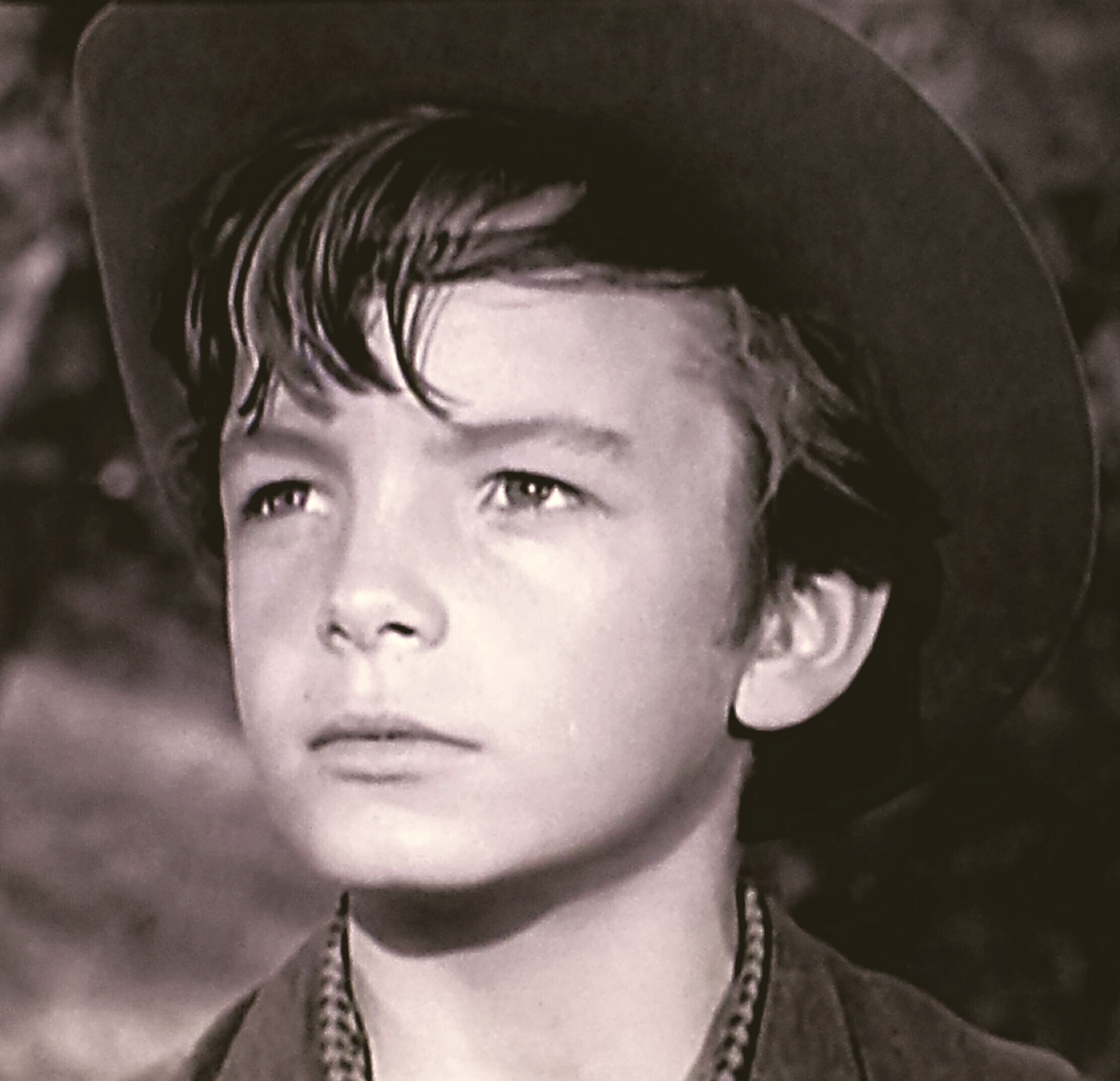 Roger Mobley - actor - biography, photo, best movies and TV shows