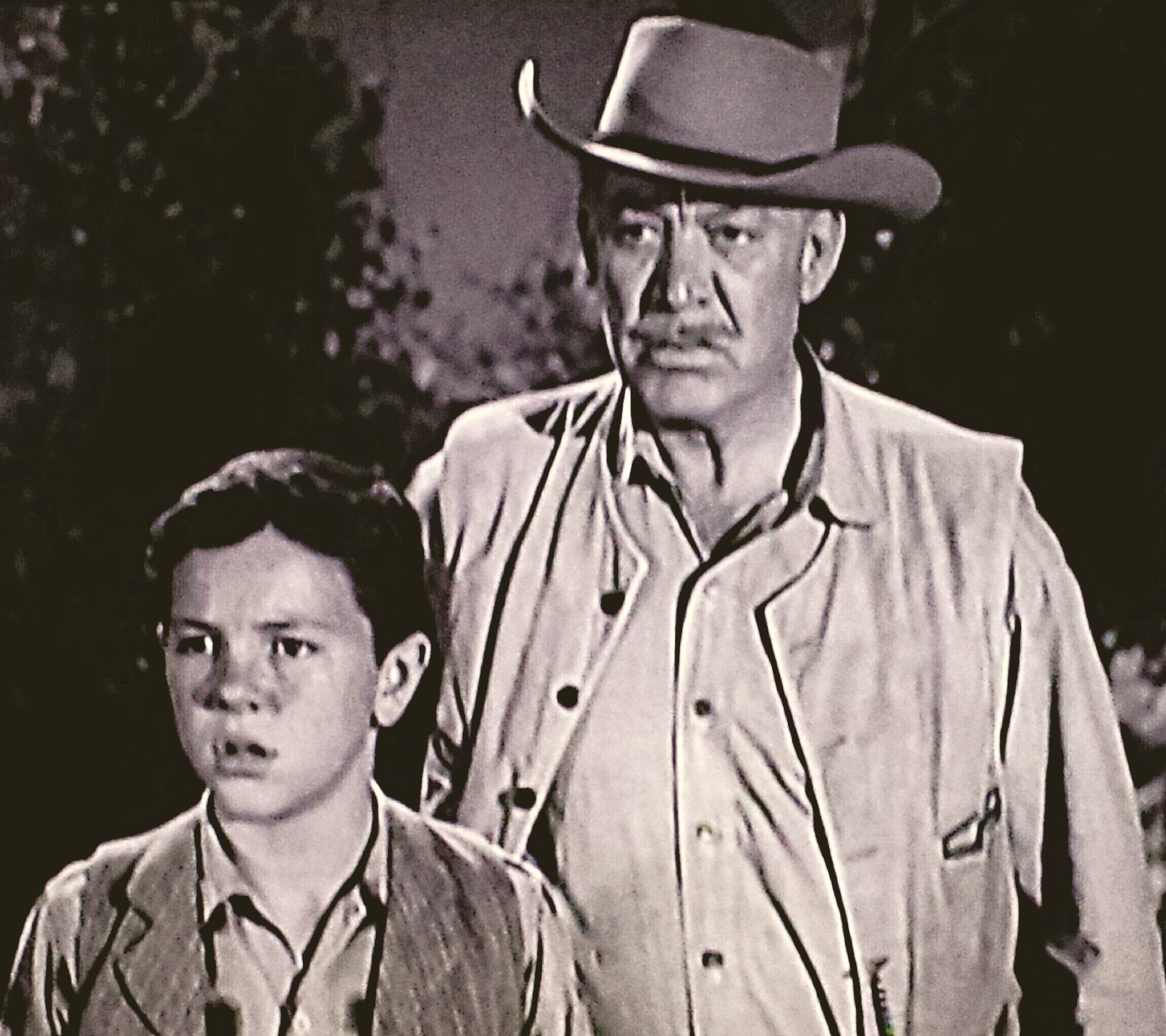 Richard Eyer - actor - biography, photo, best movies and TV shows