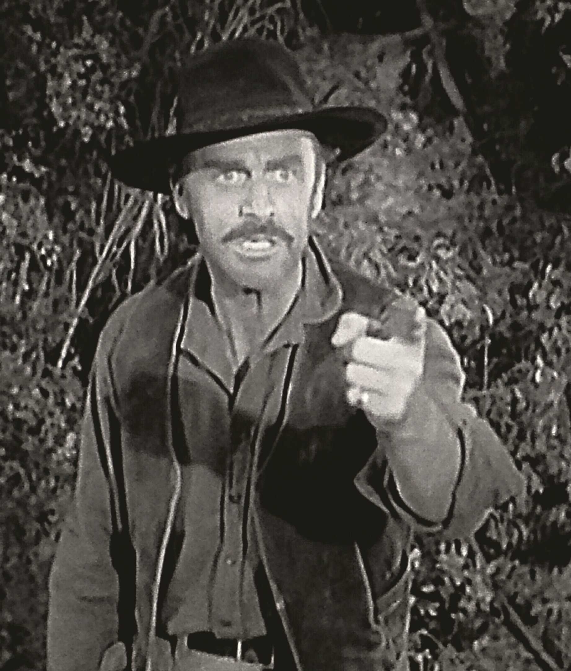 John Dehner - actor - biography, photo, best movies and TV shows