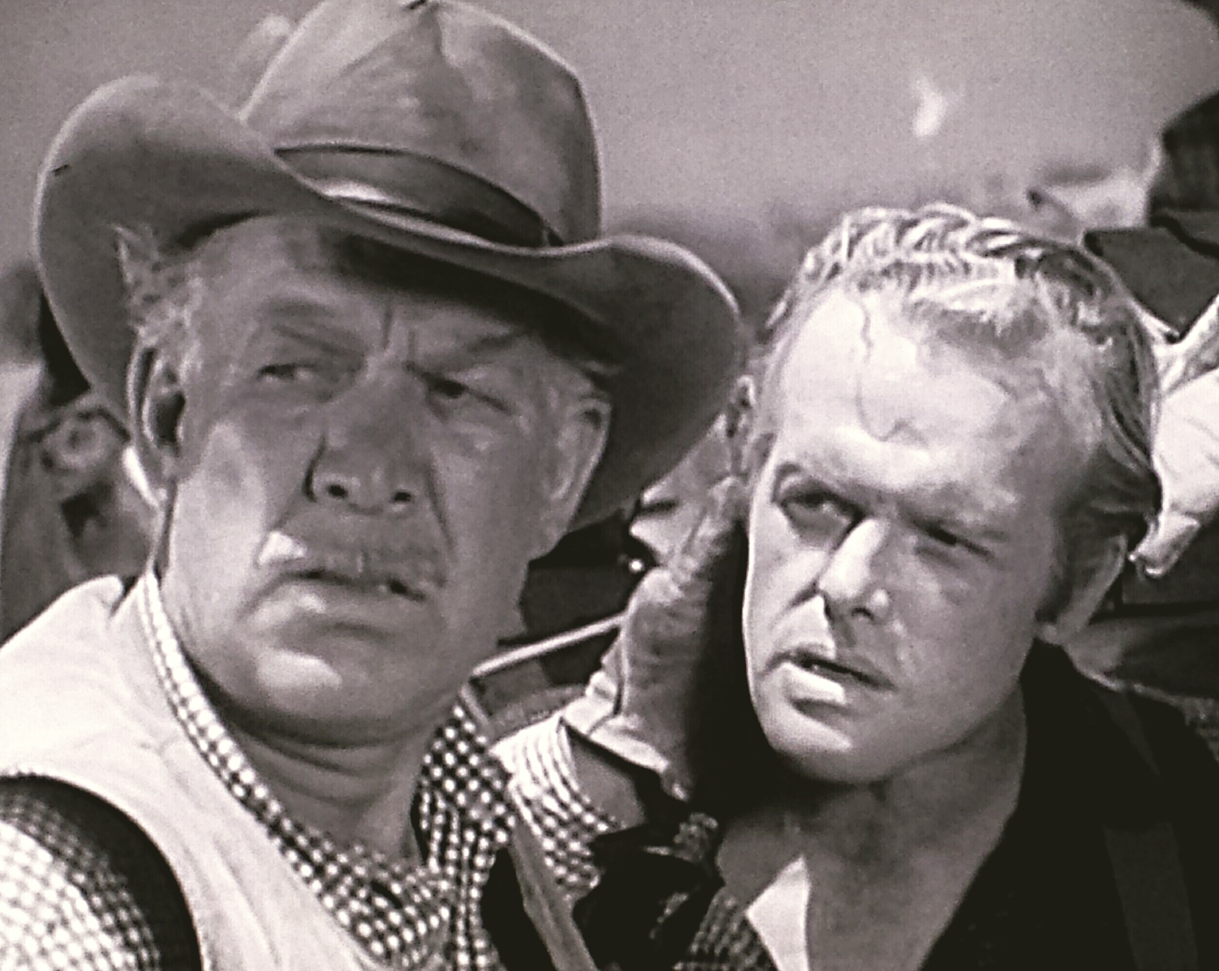 Kevin Hagen - actor - biography, photo, best movies and TV shows