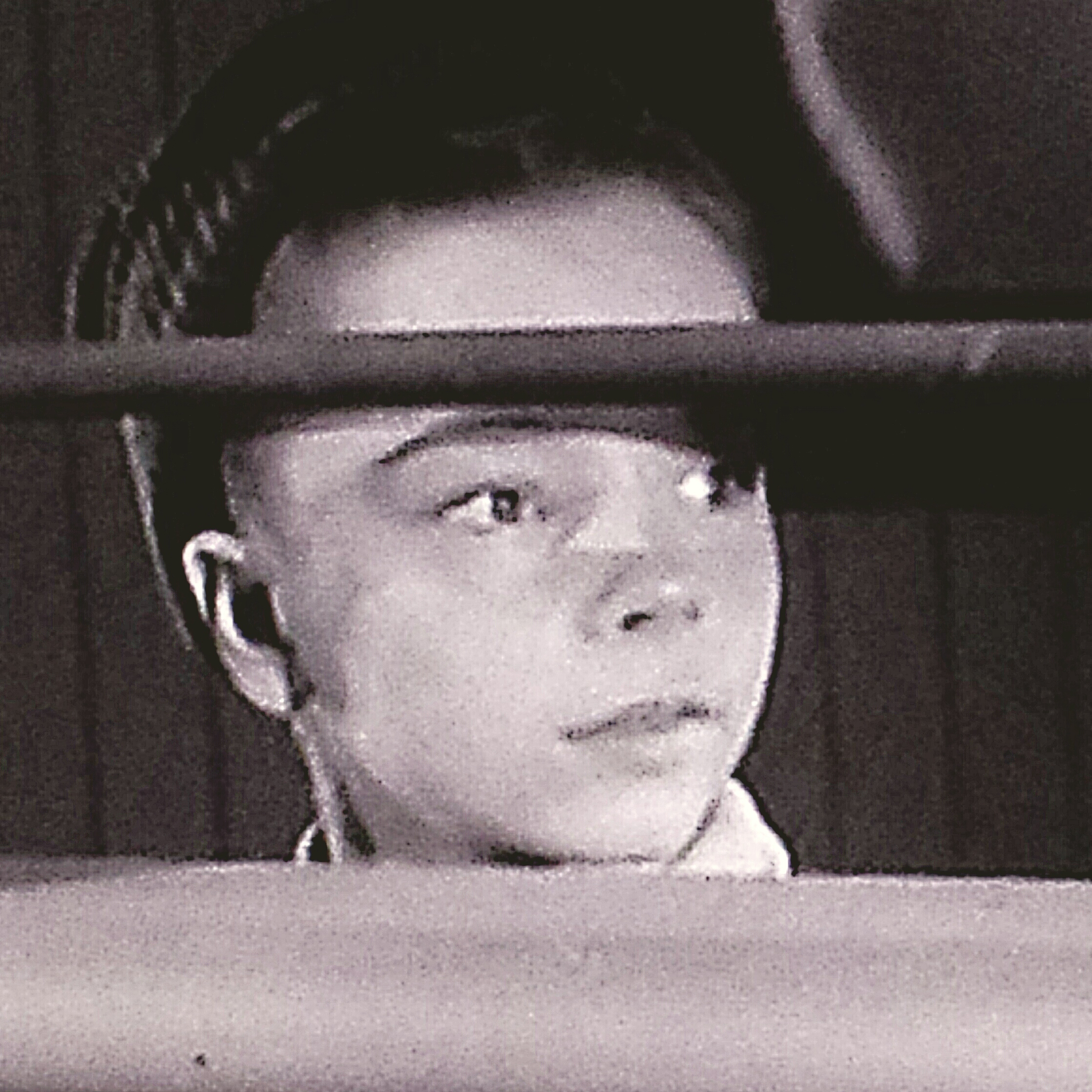 Sandy Descher - actress - biography, photo, best movies and TV shows