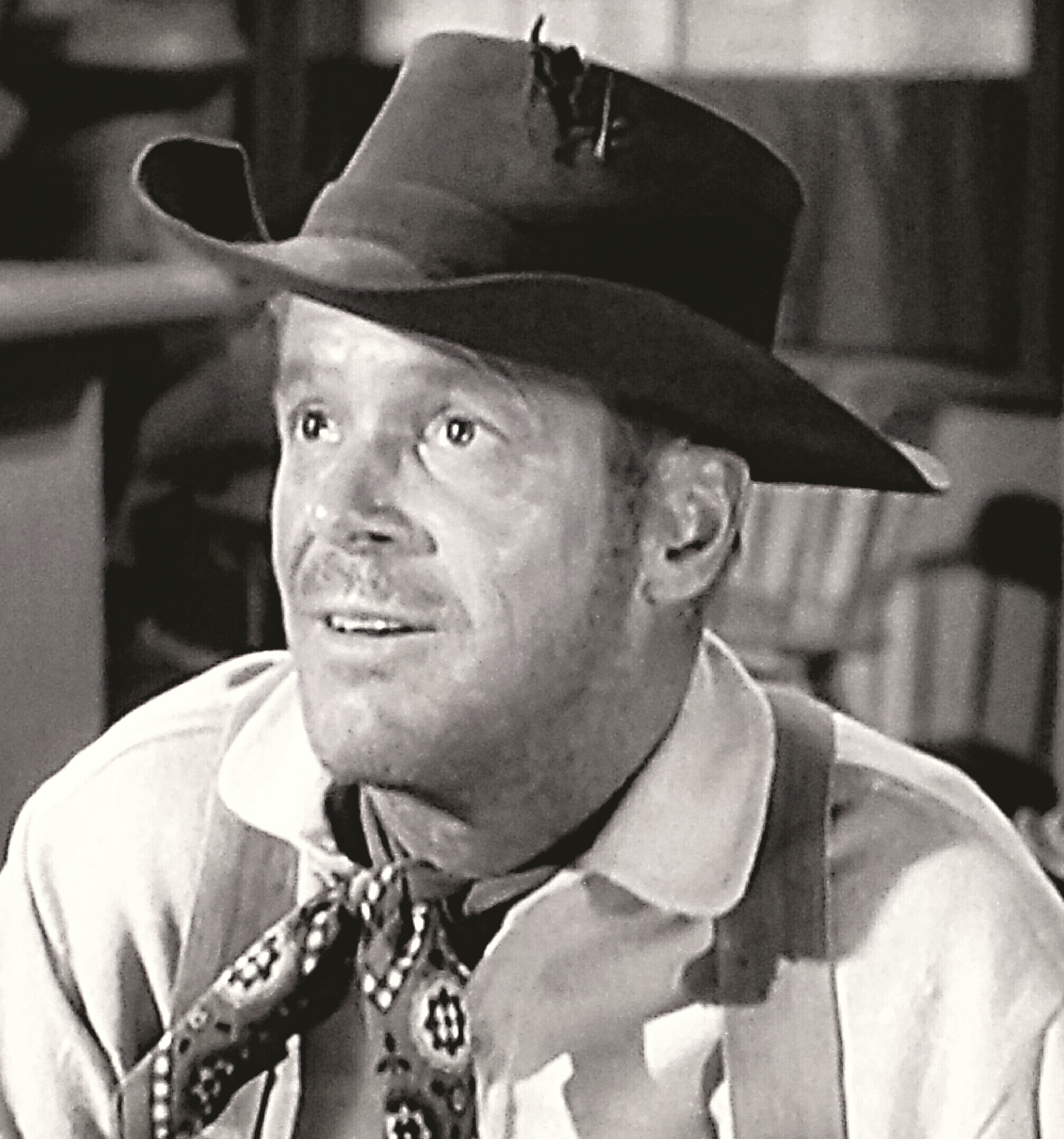 Dan Duryea - actor - biography, photo, best movies and TV shows