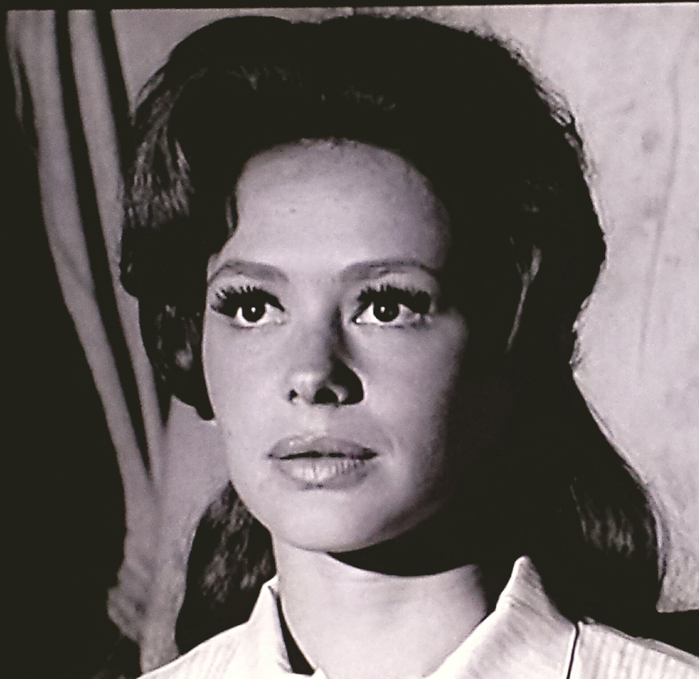 Judi Meredith - actress - biography, photo, best movies and TV shows