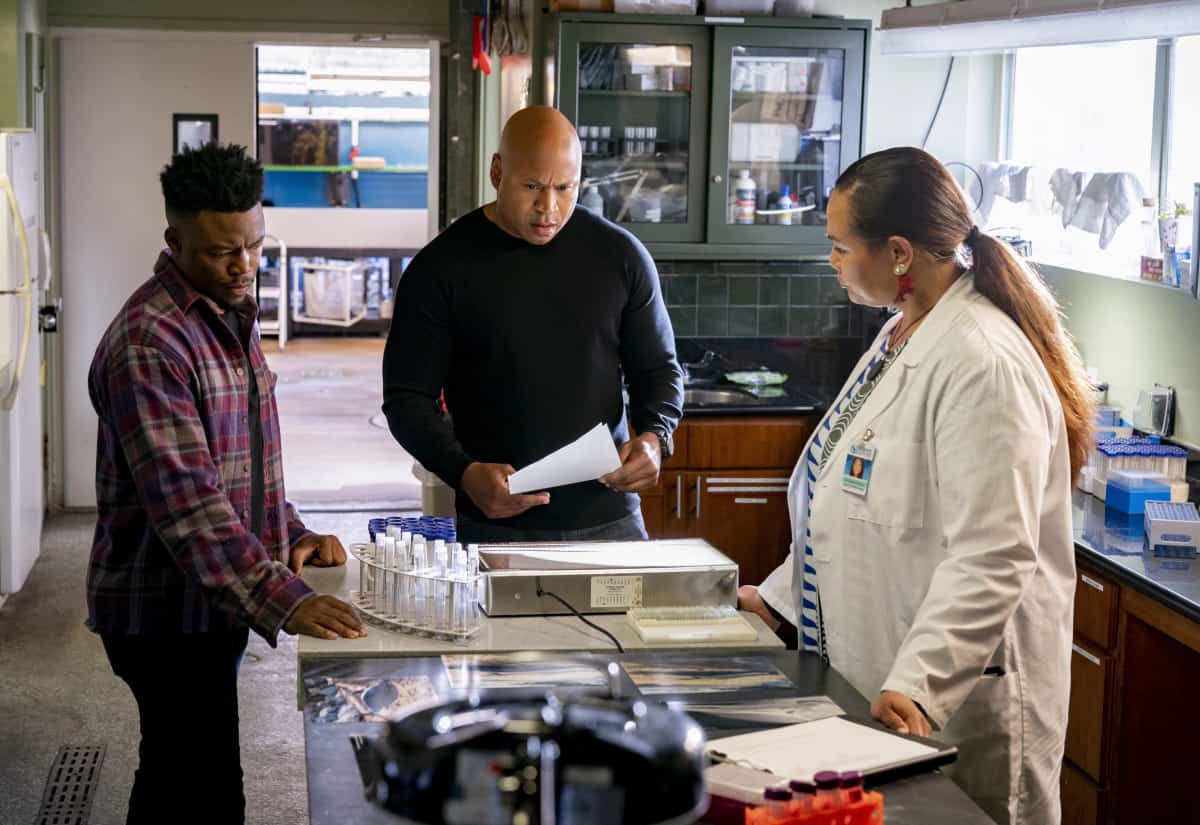 Sisa Grey - actress - biography, photo, best movies and TV shows