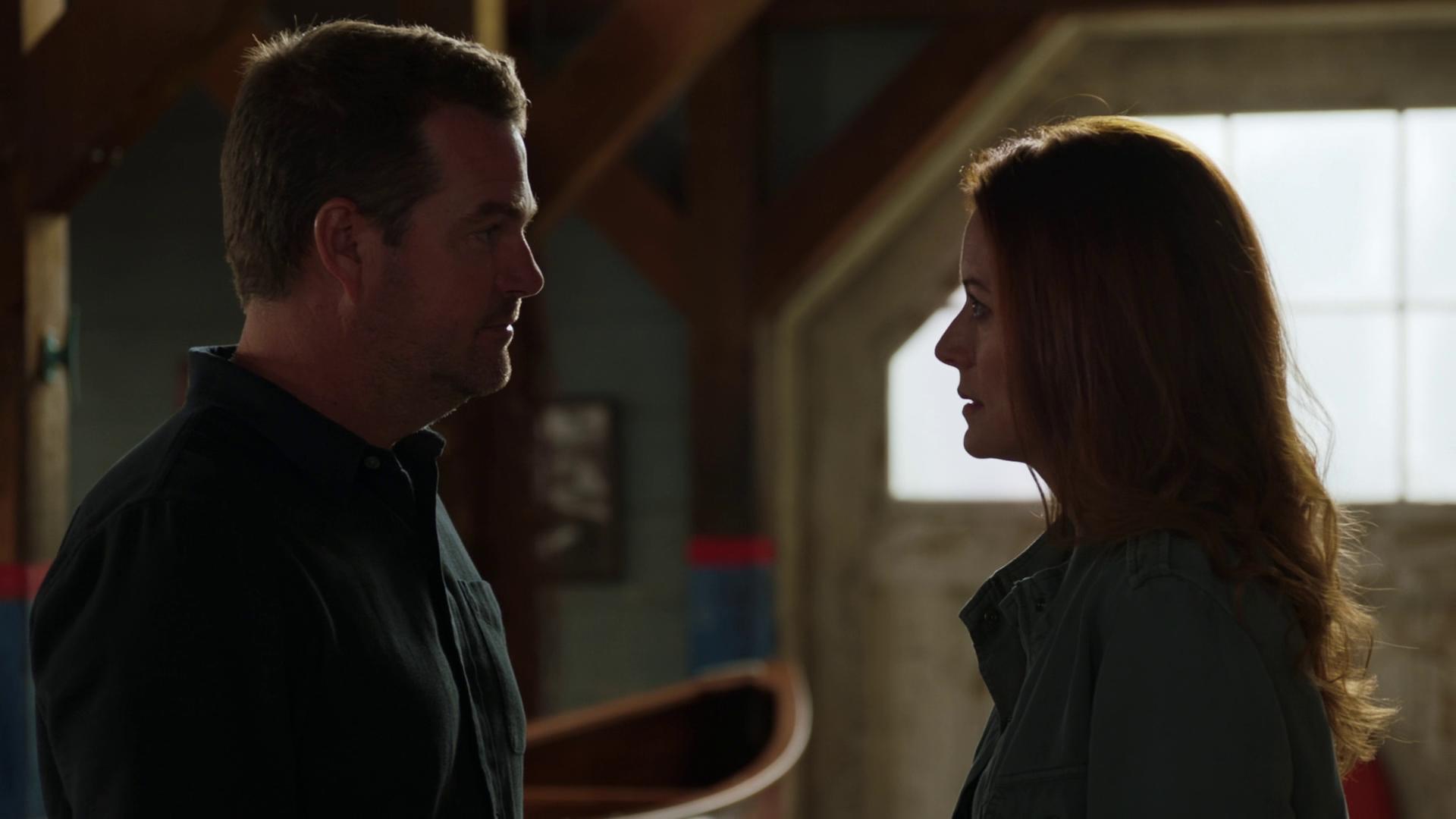 Elizabeth Bogush - actress - biography, photo, best movies and TV shows