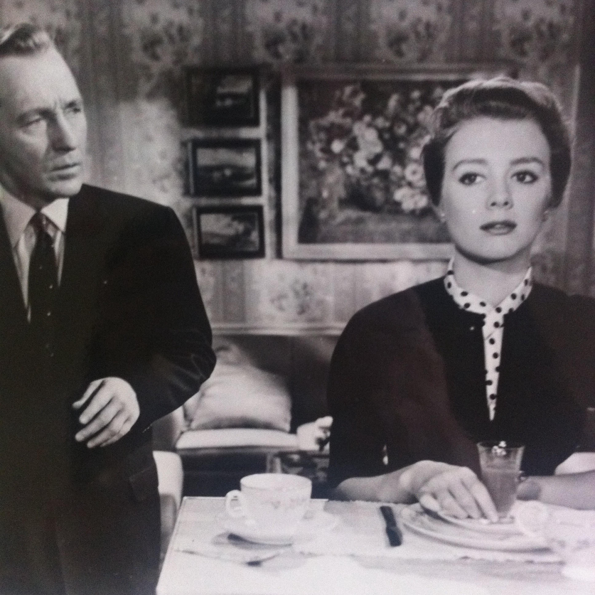 Inger Stevens - actress - biography, photo, best movies and TV shows