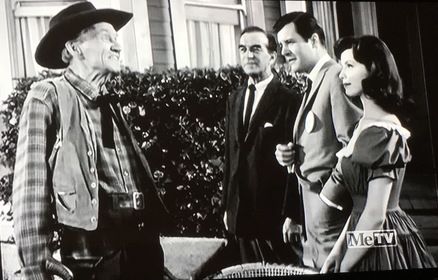 Lisa Gaye - actress - biography, photo, best movies and TV shows