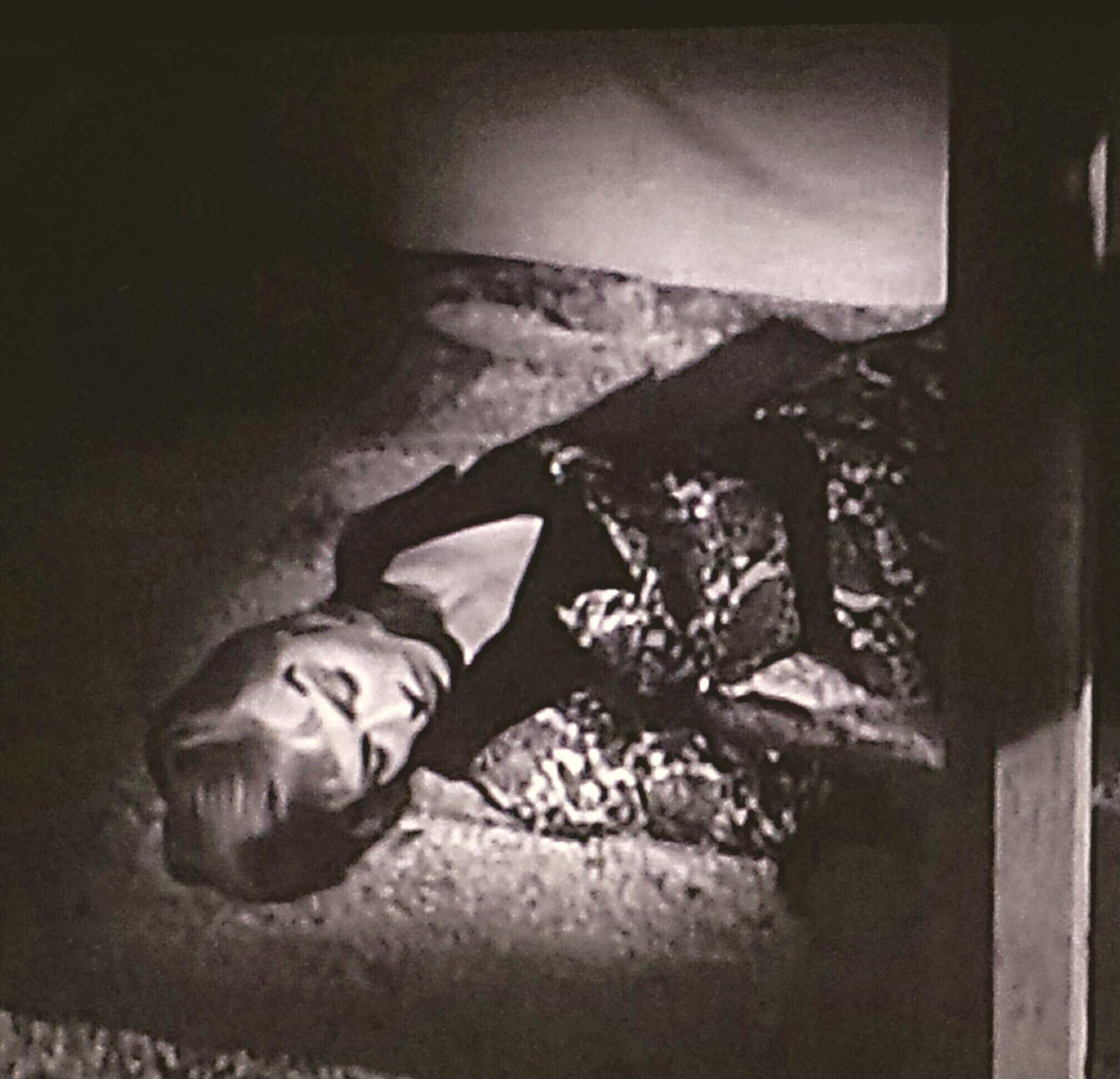 Nita Talbot - actress - biography, photo, best movies and TV shows