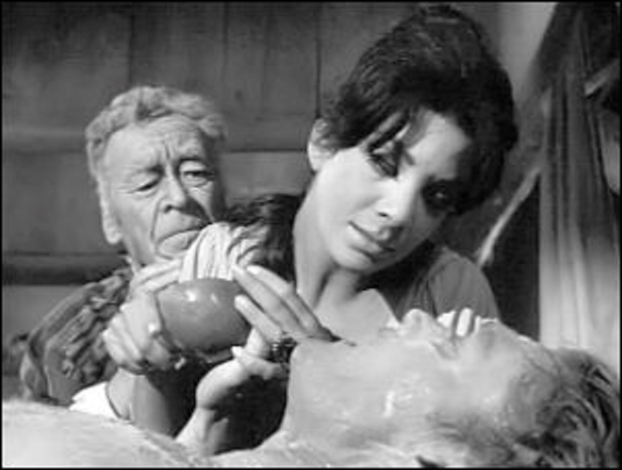 Ziva Rodann - actress - biography, photo, best movies and TV shows