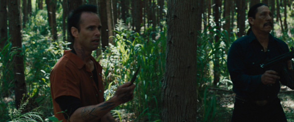 Screenshots - Predators