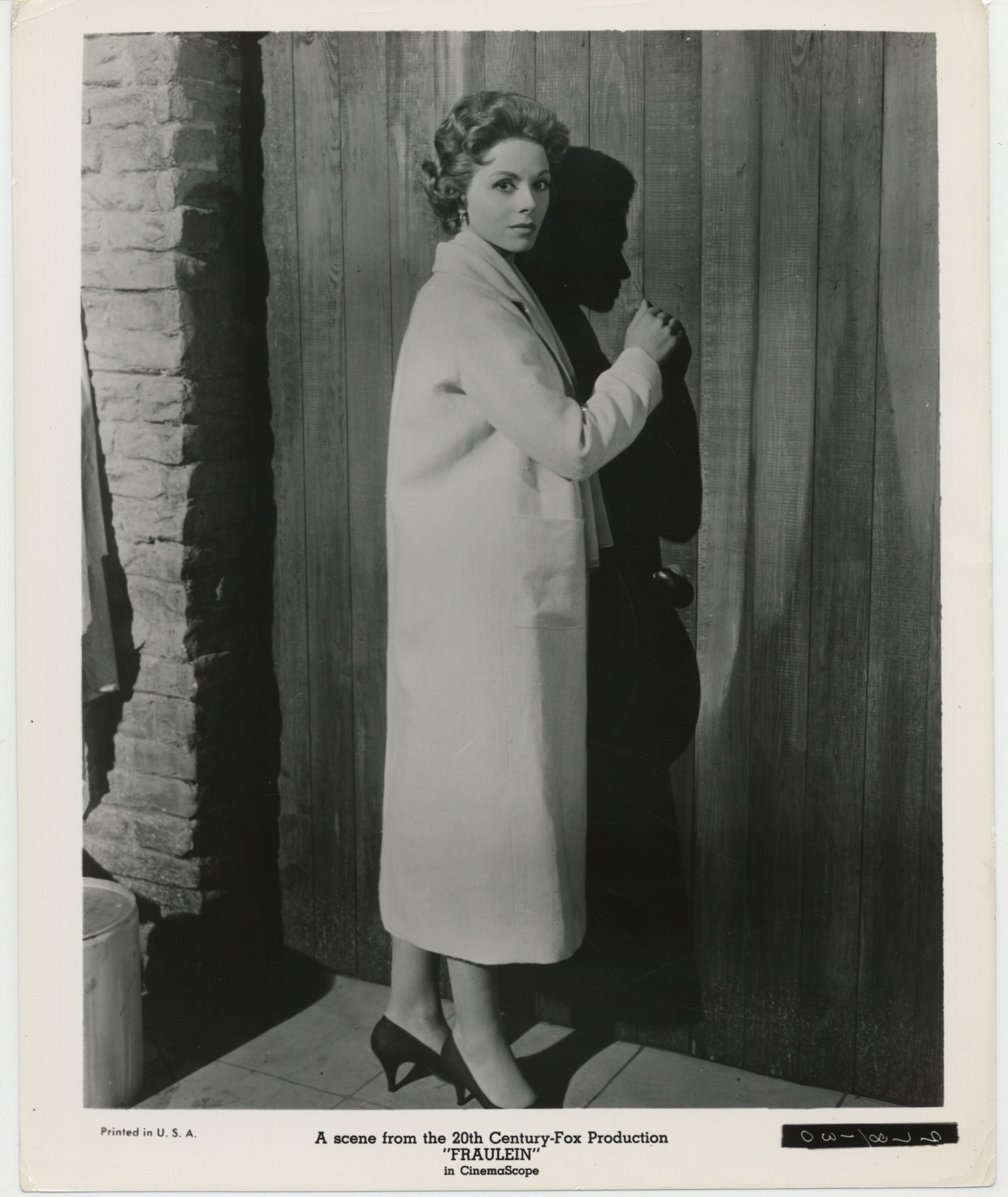 Dana Wynter - actress, writer - biography, photo, best movies and TV shows