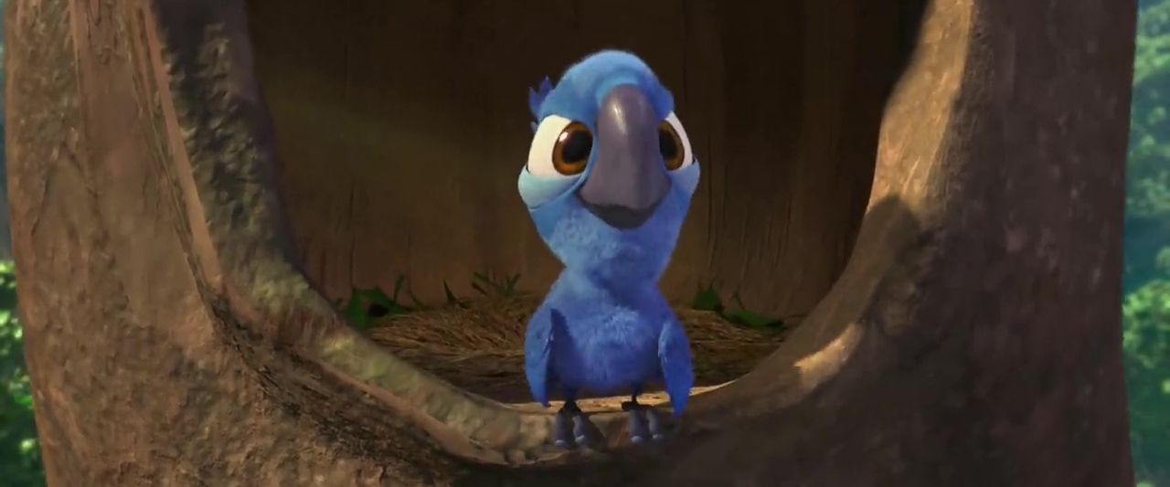 Rio (animation movie, 2011)