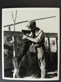 David Ladd - actor, producer - biography, photo, best movies and TV shows