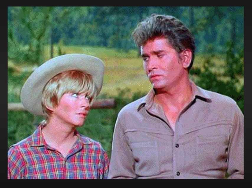 Sheilah Wells - actress - biography, photo, best movies and TV shows