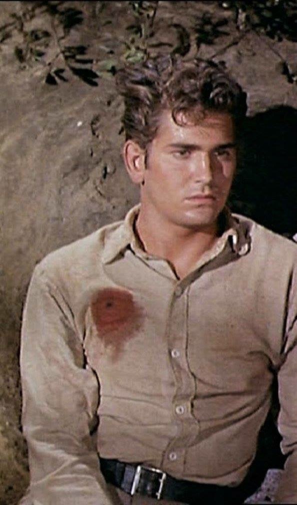 Michael Landon - actor, director, writer, producer