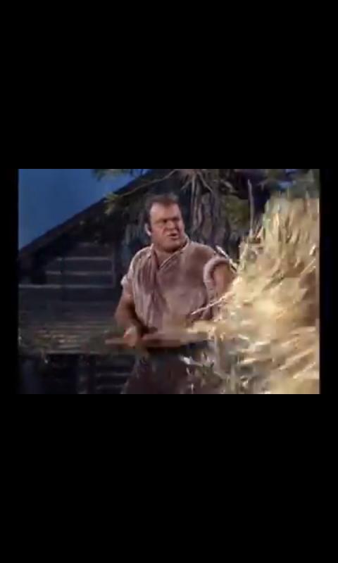 Dan Blocker - actor - biography, photo, best movies and TV shows