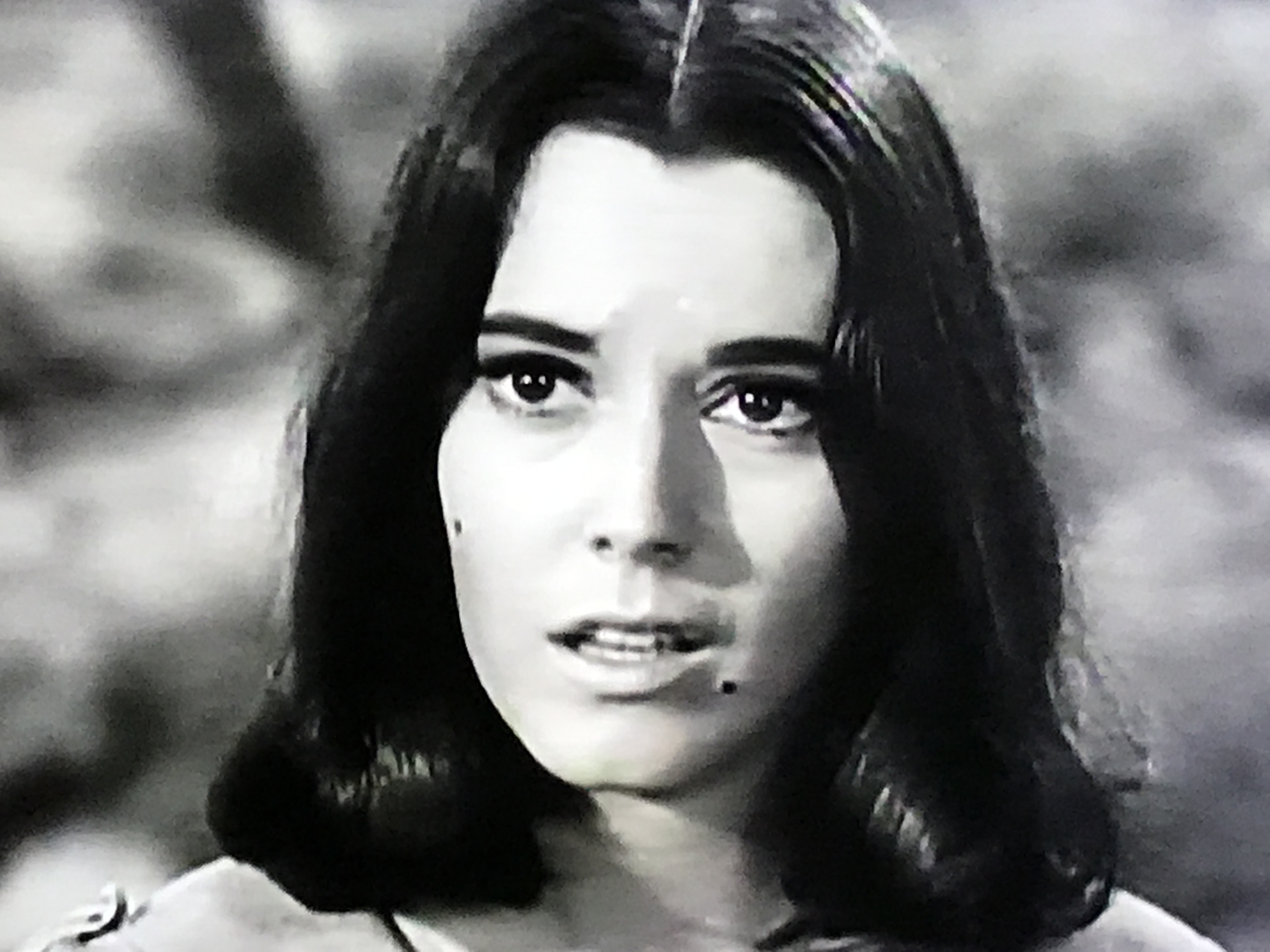 Susan Kohner - actress - biography, photo, best movies and TV shows