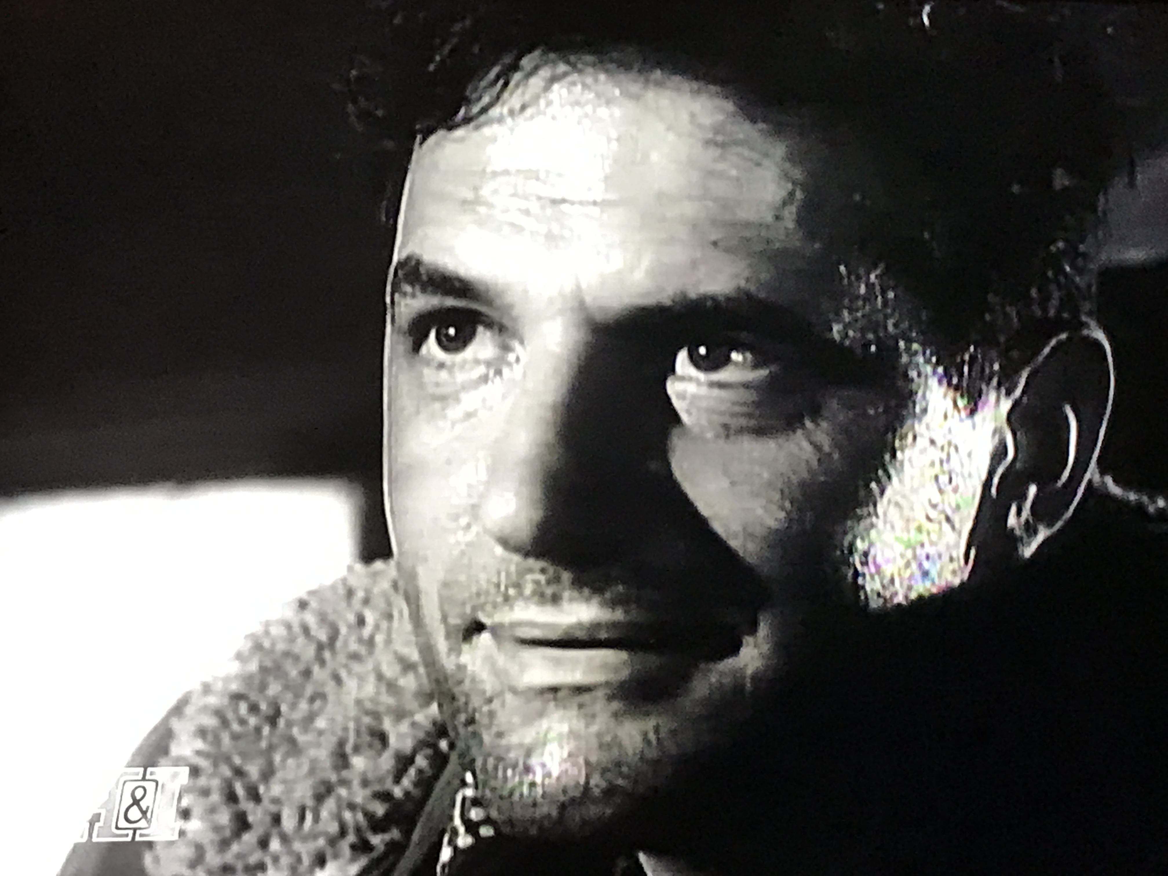 Steven Hill - actor - biography, photo, best movies and TV shows
