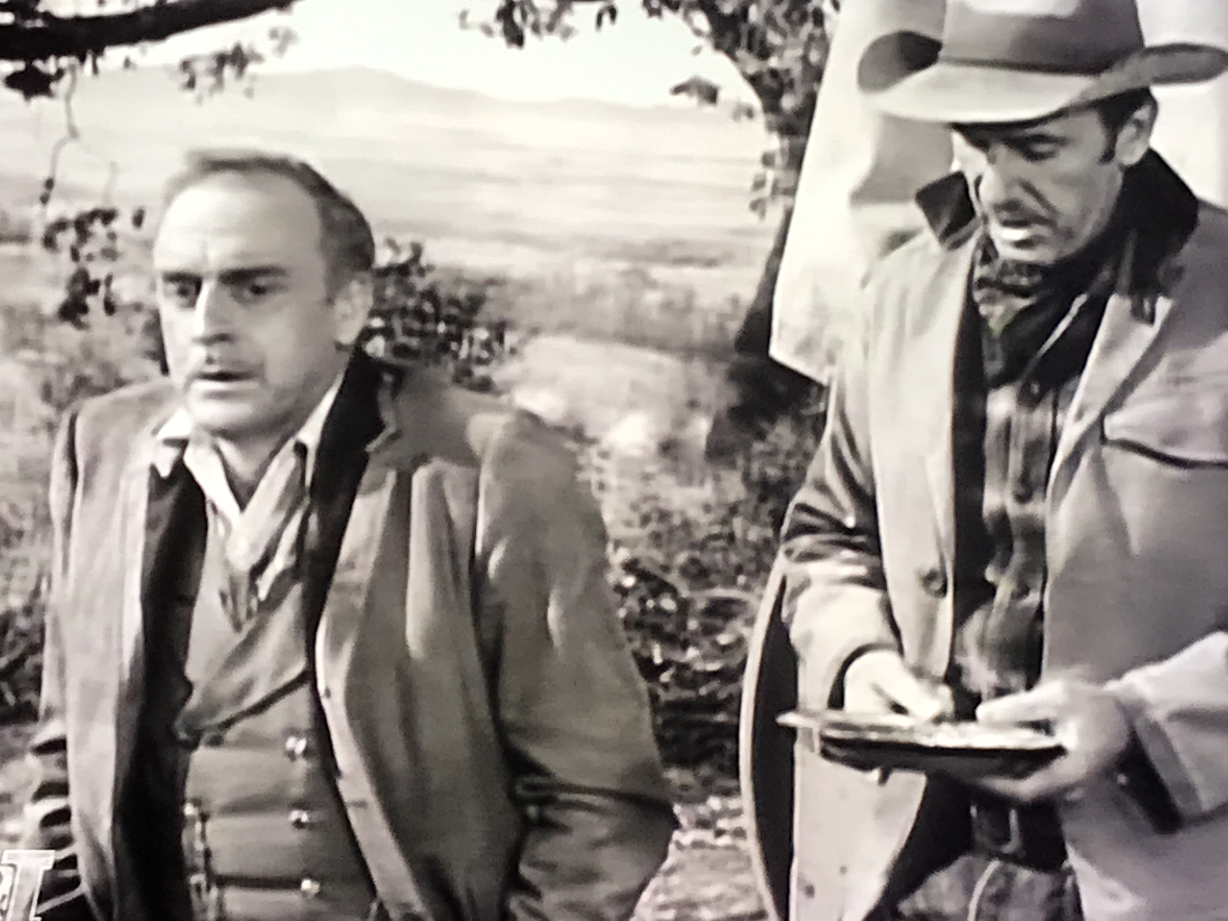 John Dehner - actor - biography, photo, best movies and TV shows
