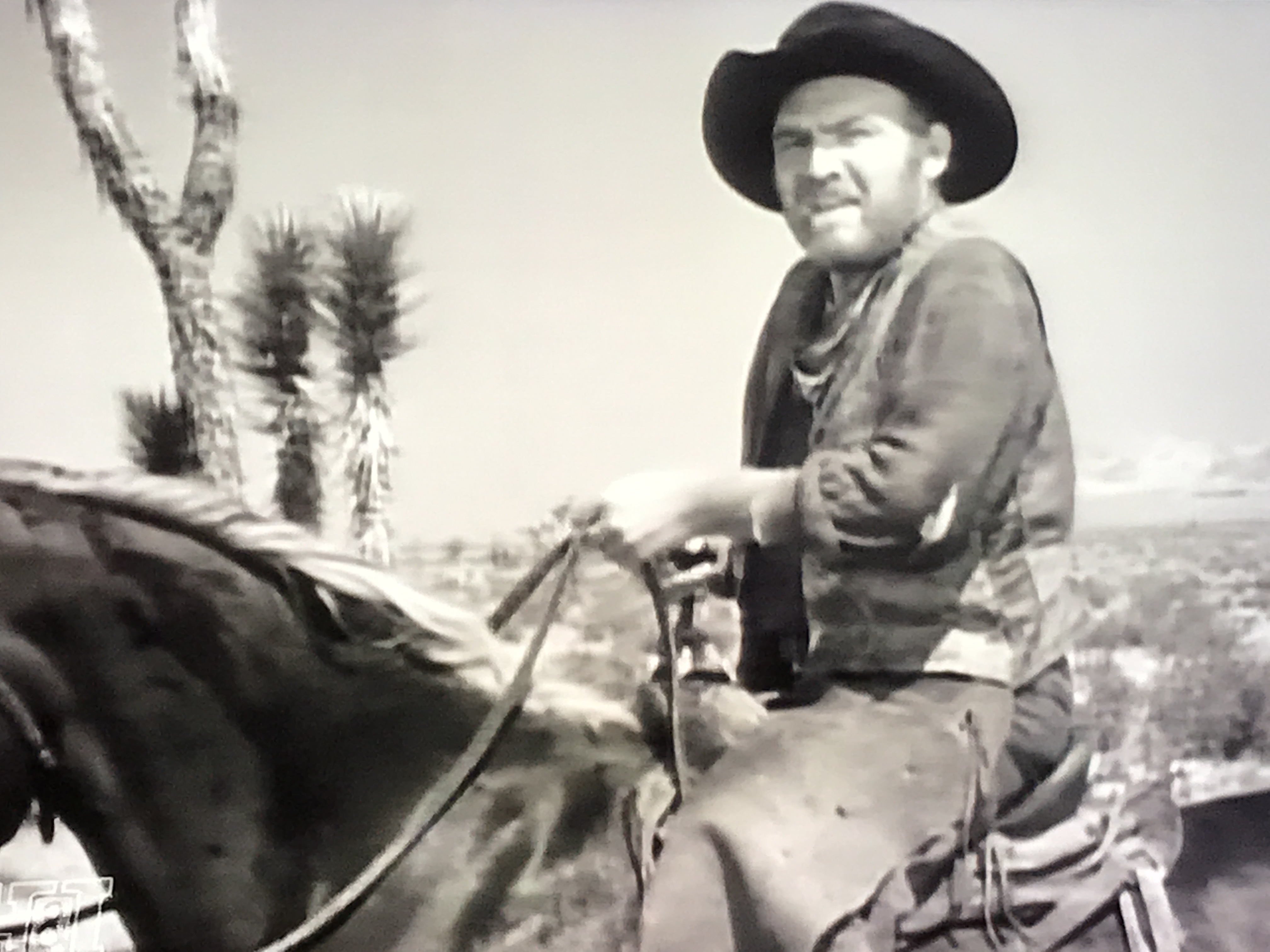 Gene Evans - actor - biography, photo, best movies and TV shows