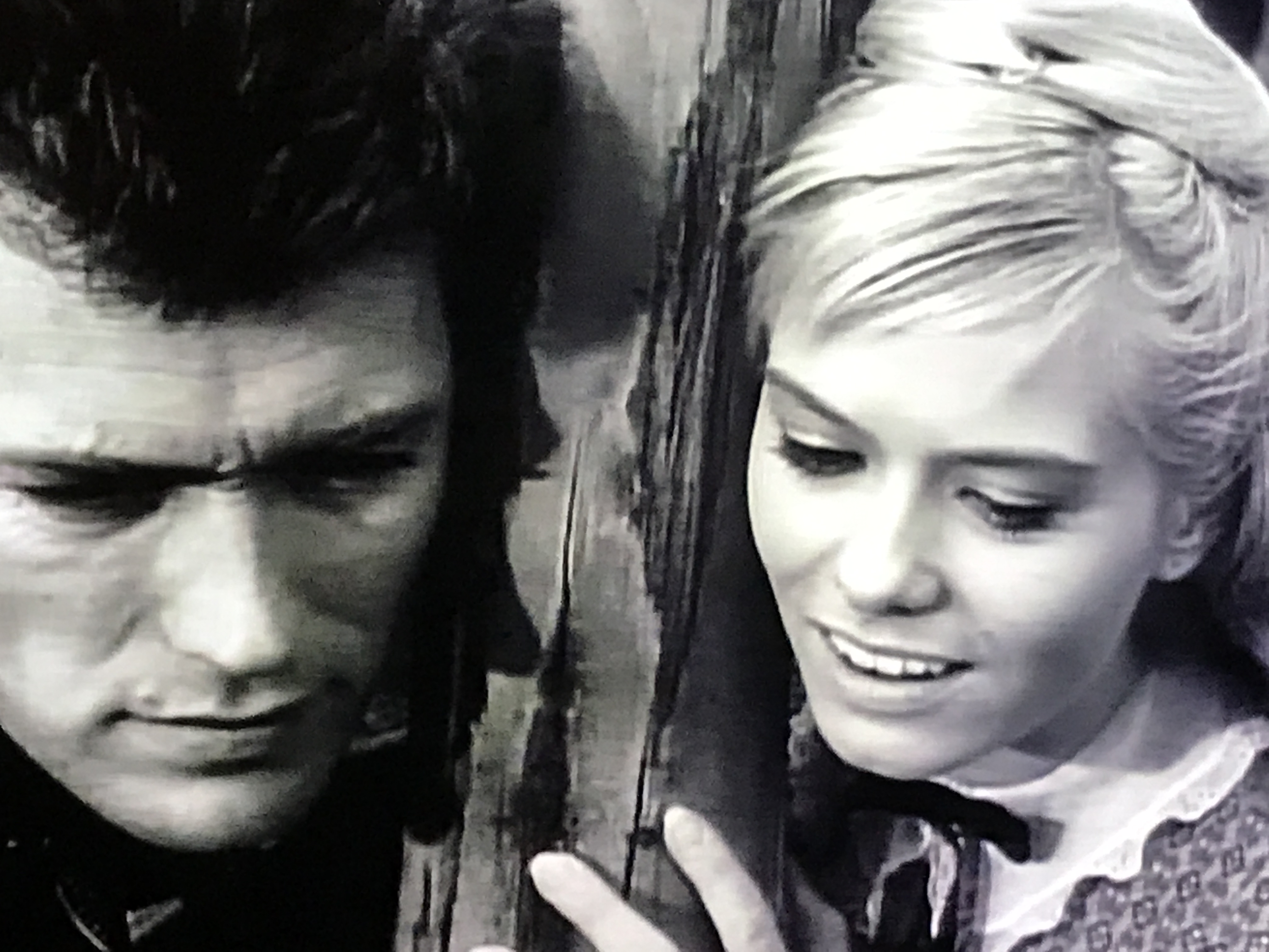 Brooke Bundy - actress, producer