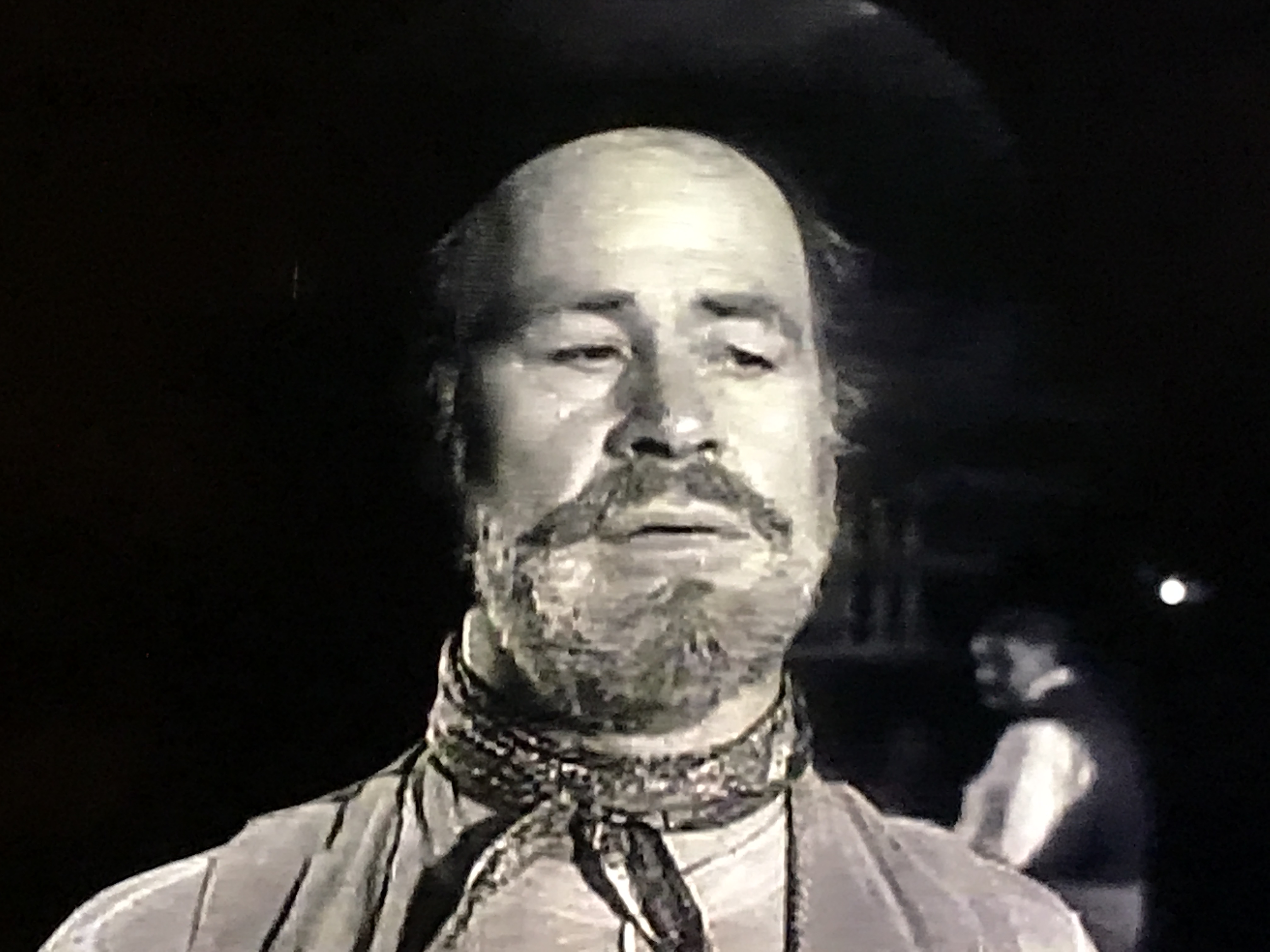 Paul Brinegar - actor - biography, photo, best movies and TV shows