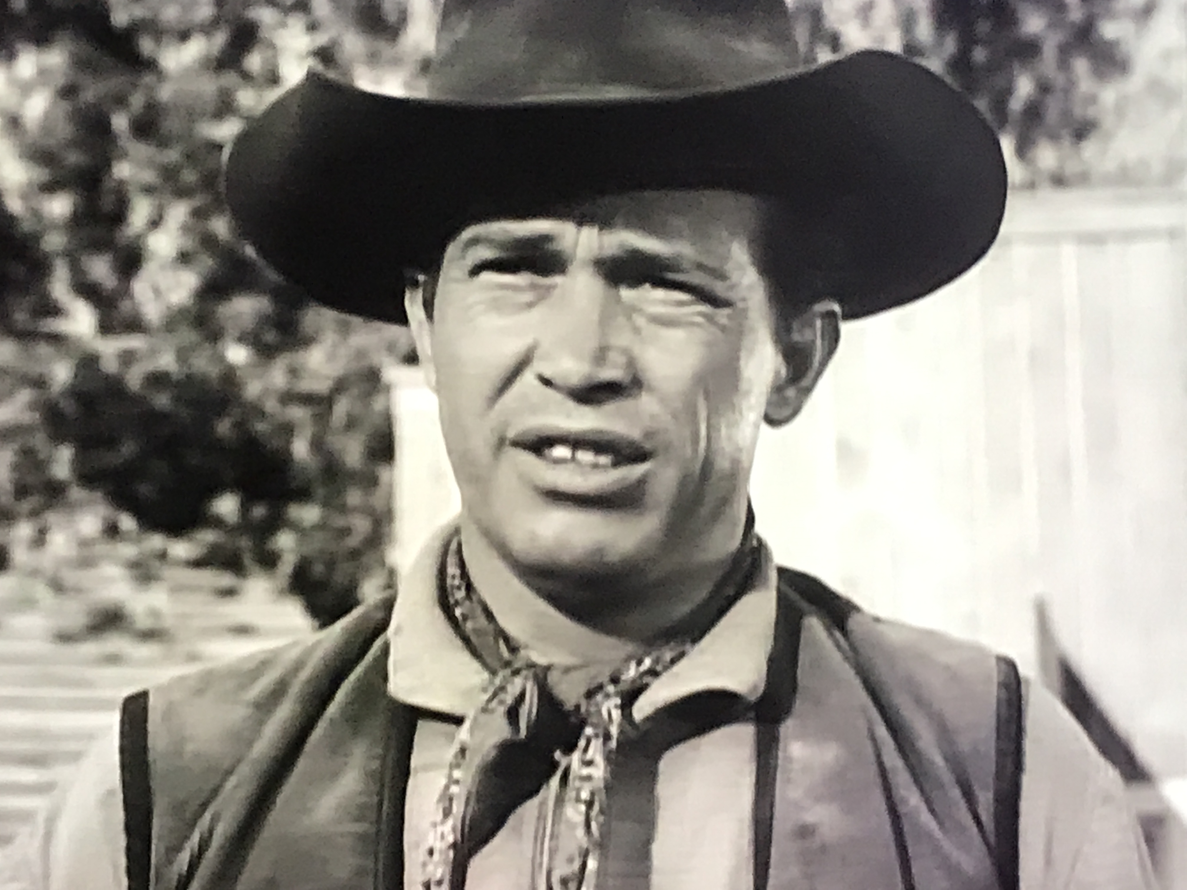 Warren Oates - actor - biography, photo, best movies and TV shows