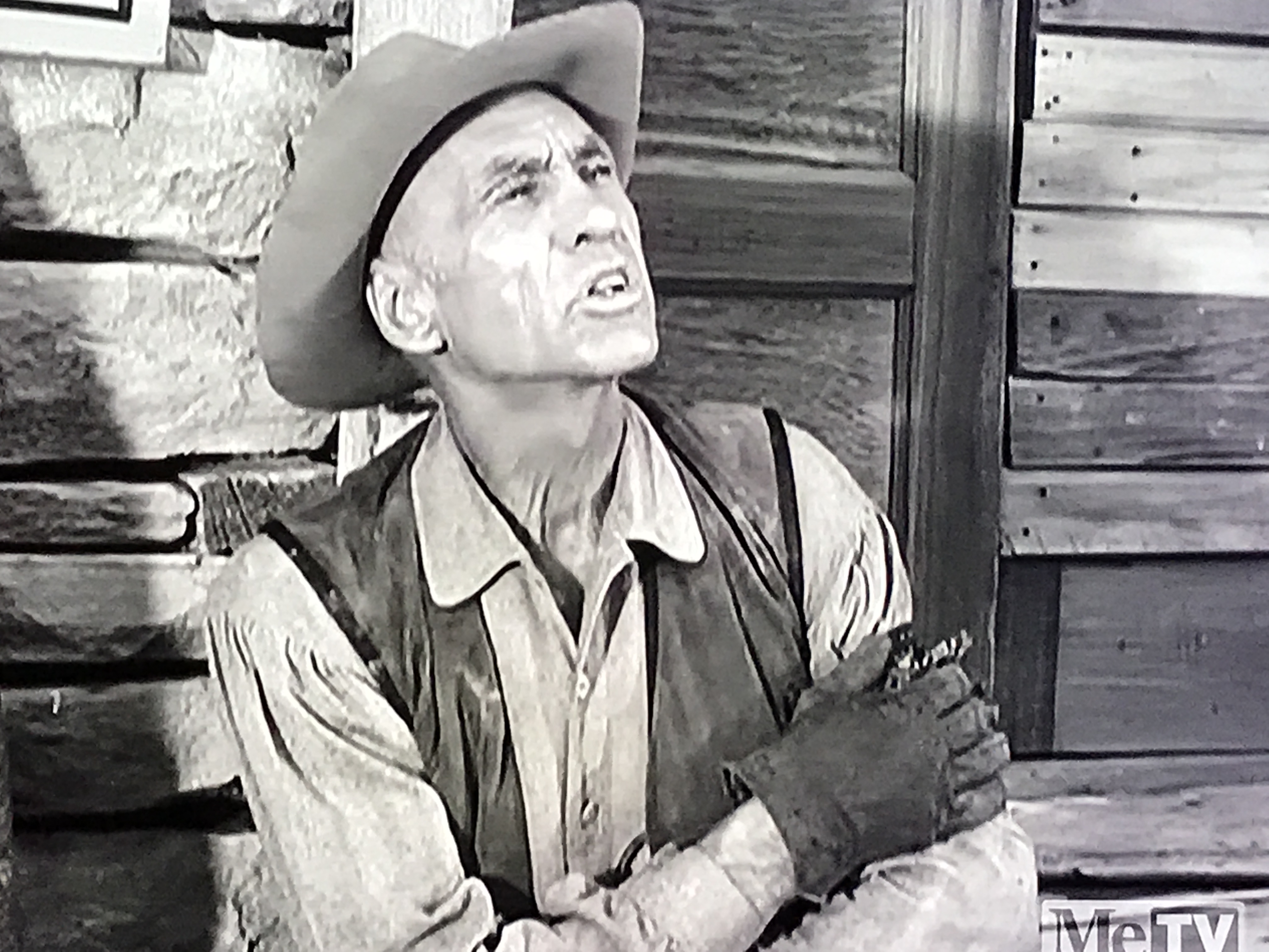 Hank Worden - actor, producer - biography, photo, best movies and TV shows