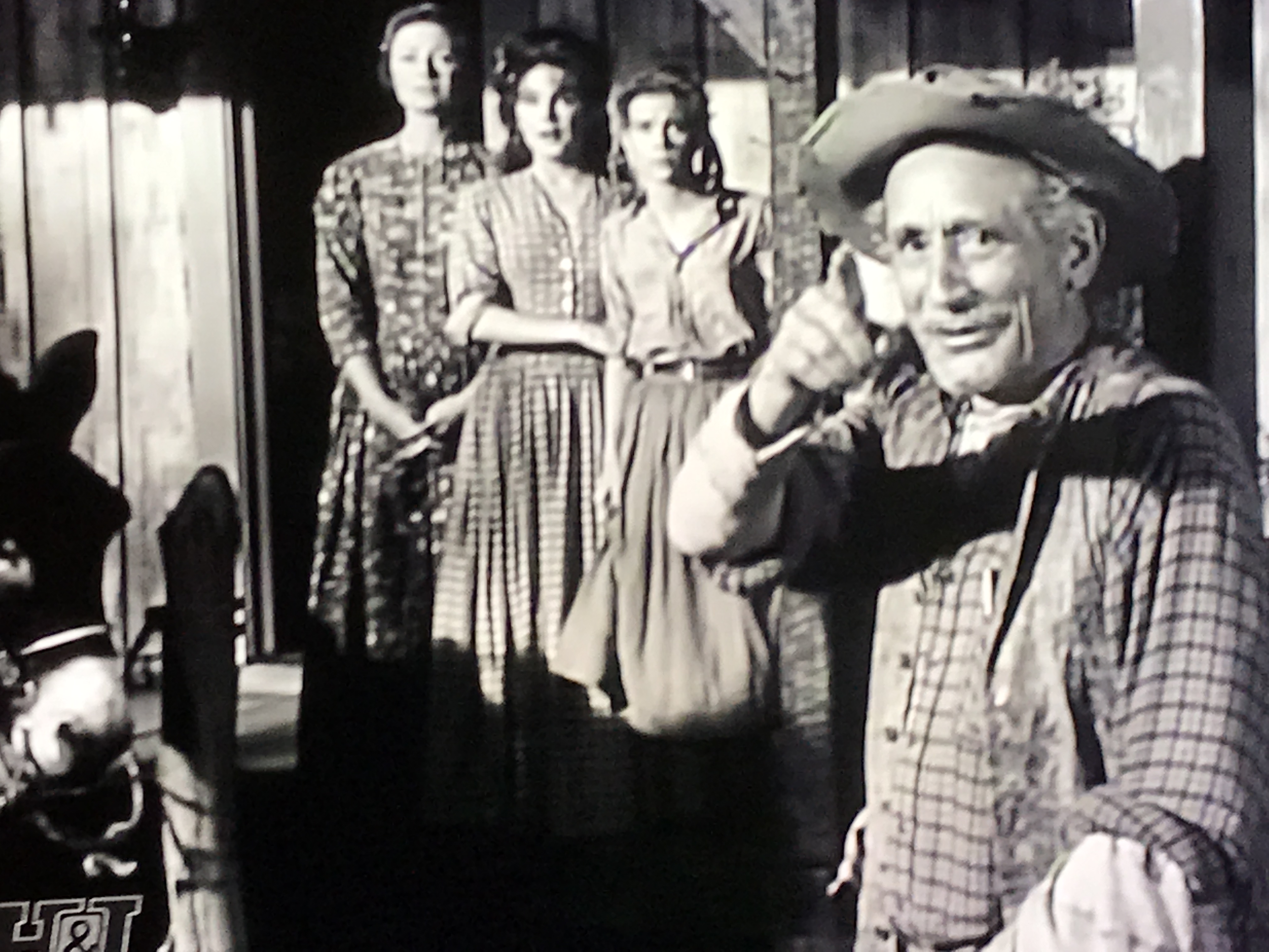 Davey Davison - actress - biography, photo, best movies and TV shows