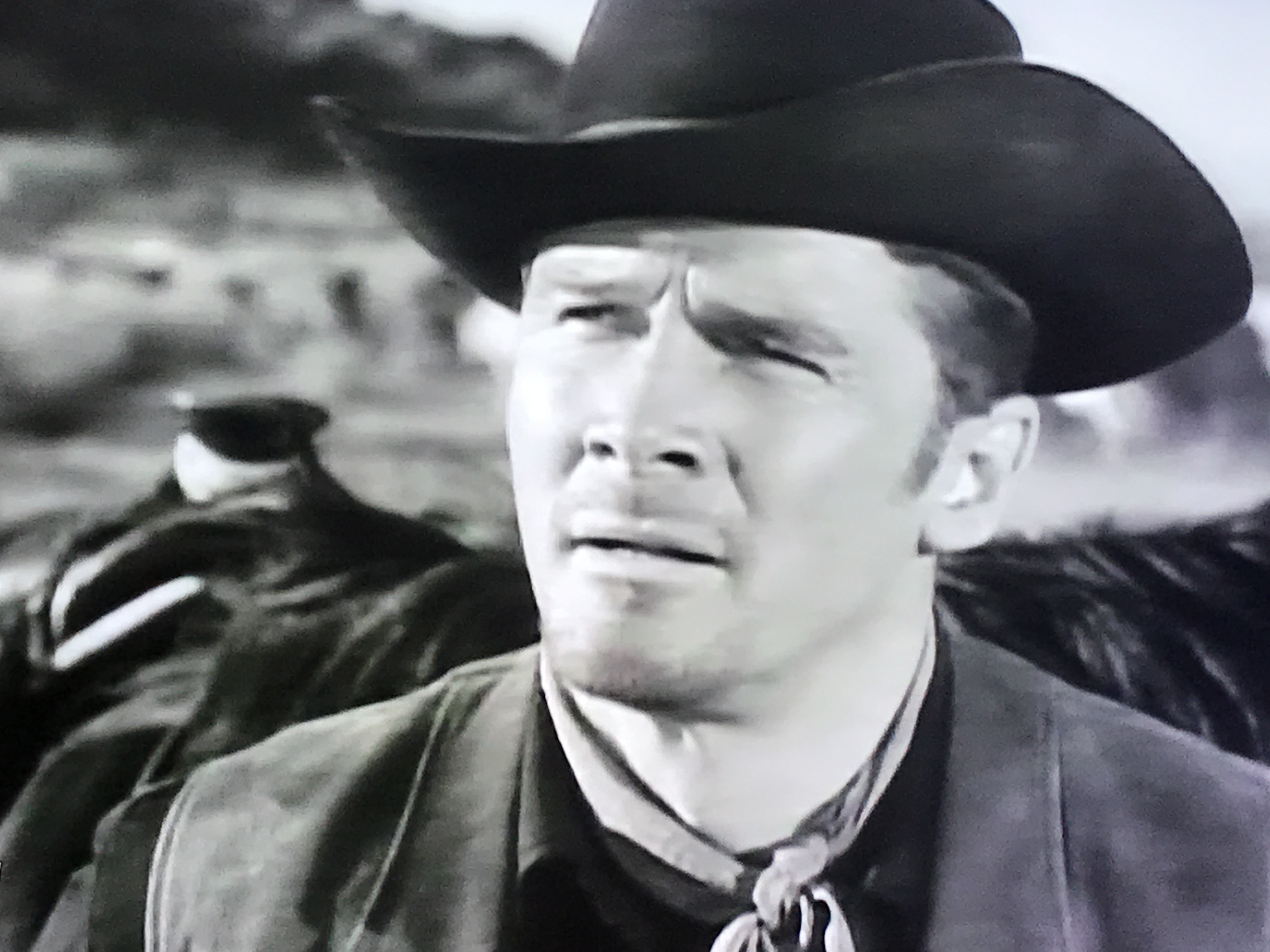 Steve Forrest - actor - biography, photo, best movies and TV shows