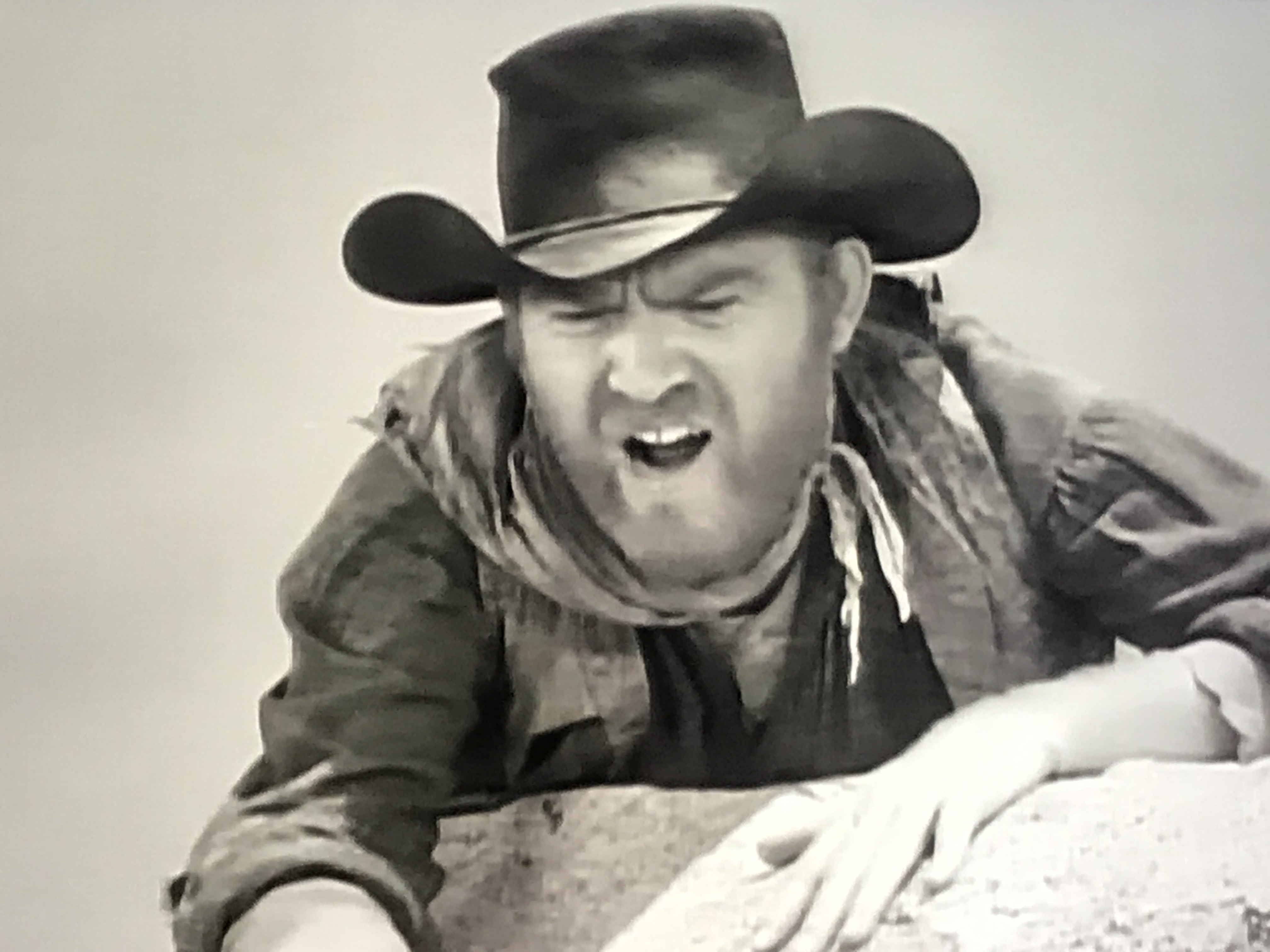 Gene Evans - actor - biography, photo, best movies and TV shows
